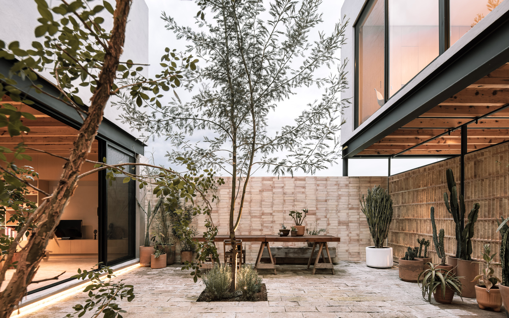 Gallery of Casa Roble 3.6 / Pothe.arquitectura - 4