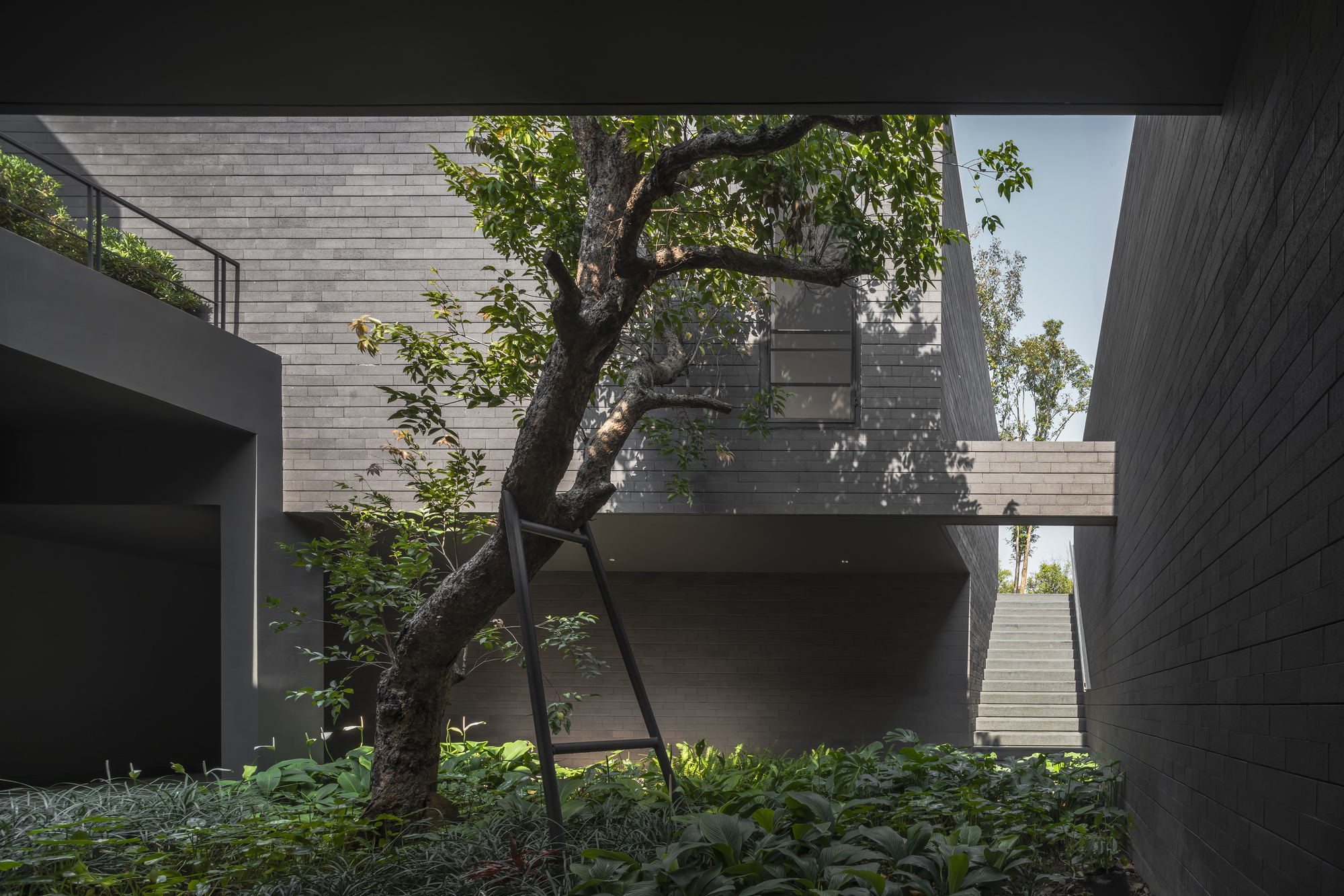 Gallery of Diagonal House / Architects 49 House Design Limited - 7