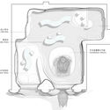 I Do Artist Store with Yue Minjun / AntiStatics Architecture | ArchDaily
