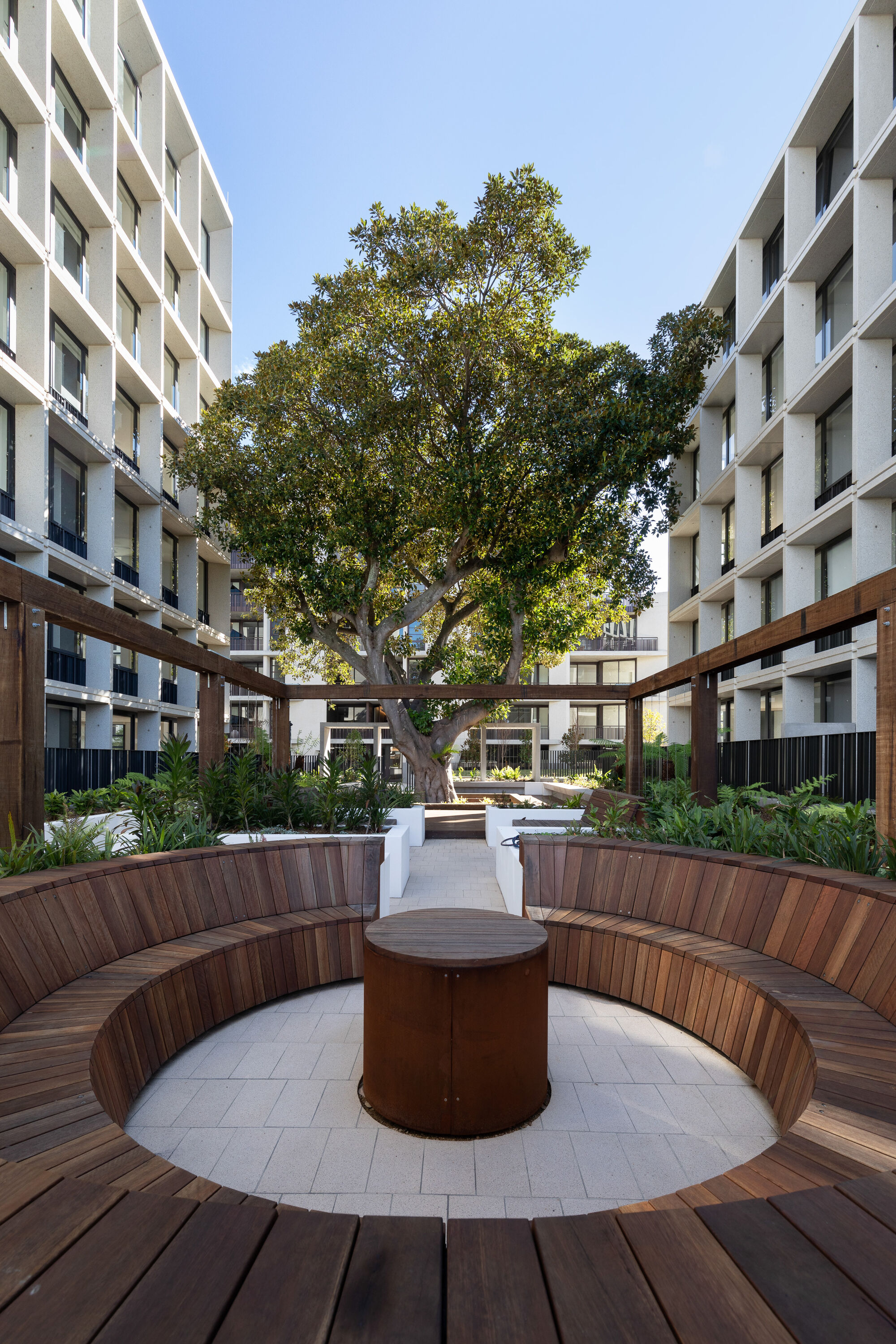 Gallery of Fig Tree Pocket / Smart Design Studio - 5