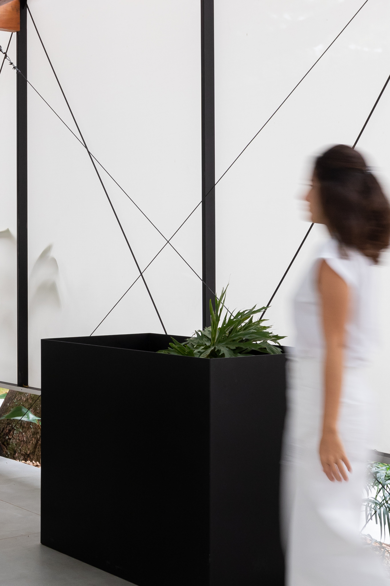 Galería de Instalación botánica / Studio Pippa - 6