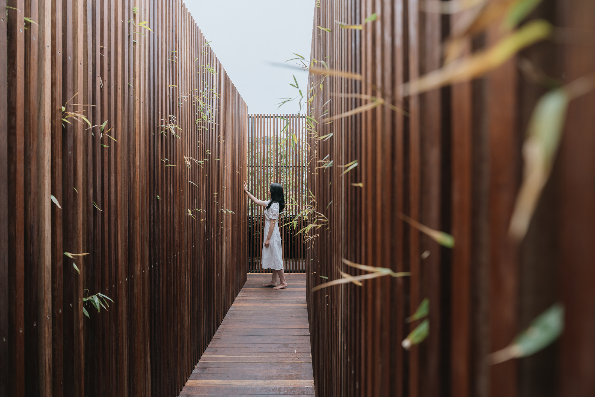 Gallery of Sumsei Terarium / NONE SPACE - 14