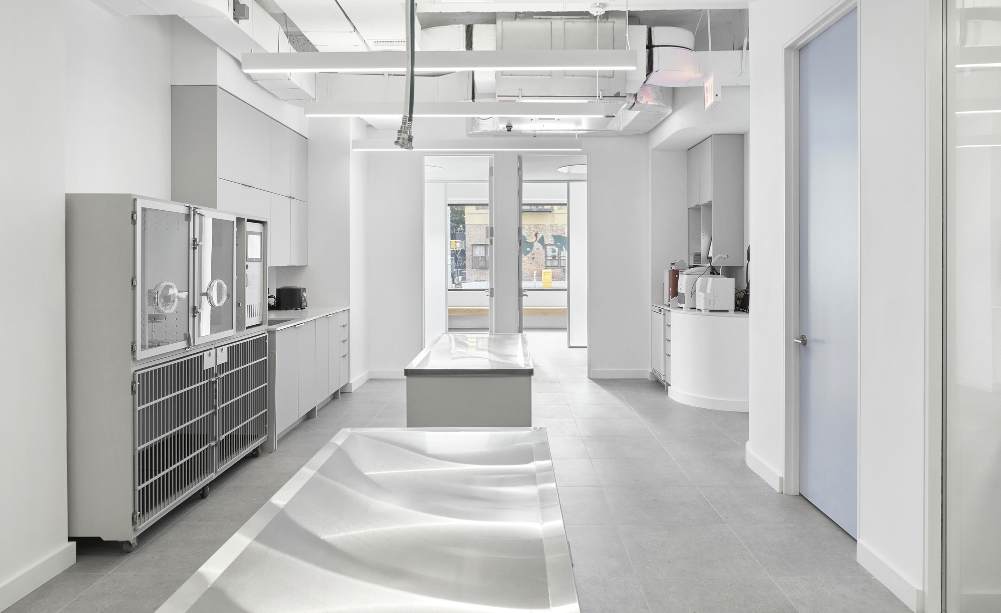 Gallery of Brilliant Veterinary Care / Group Projects Architecture - 4