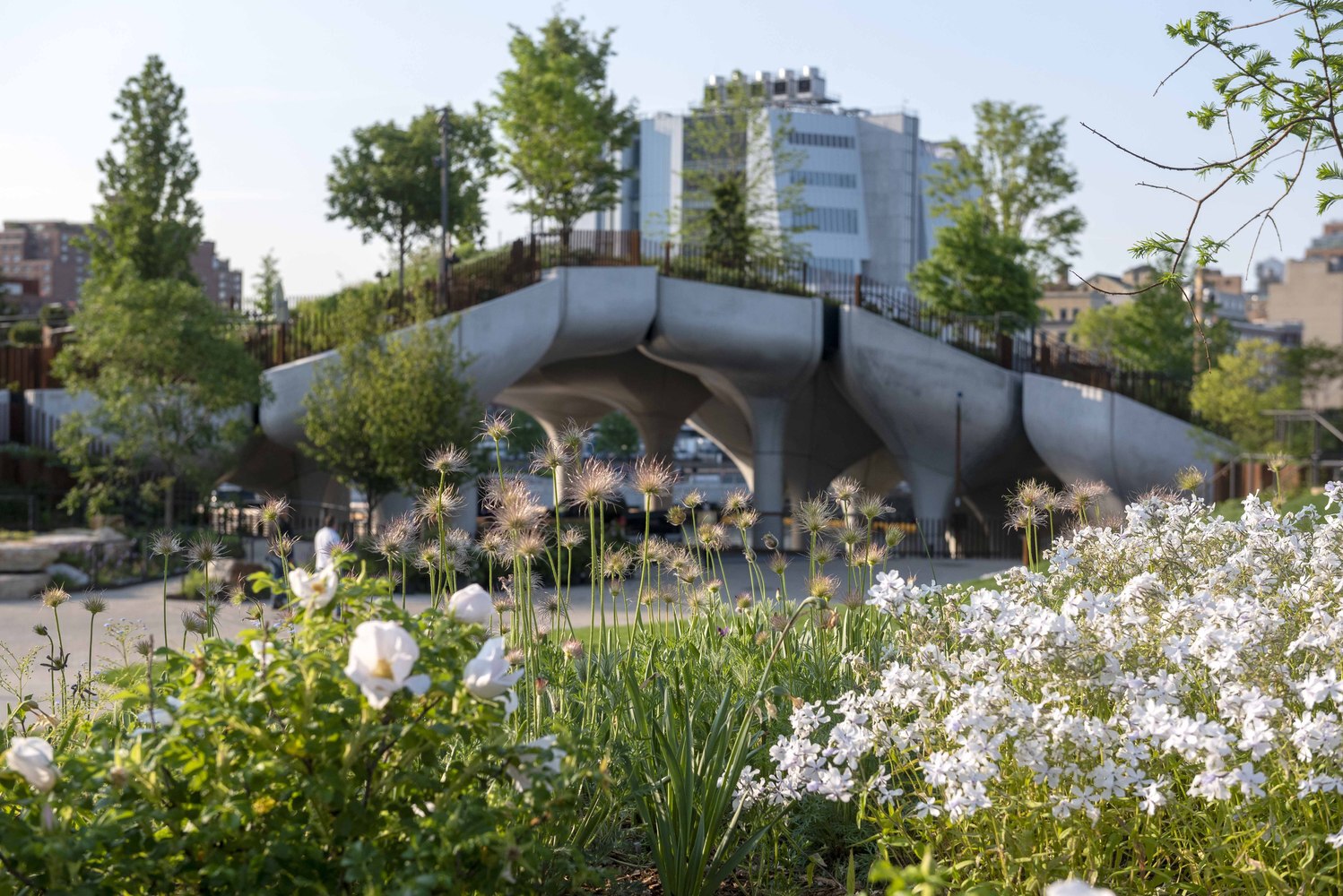 Gallery of Heatherwick Studio, MNLA and Arup on their Collaborative ...