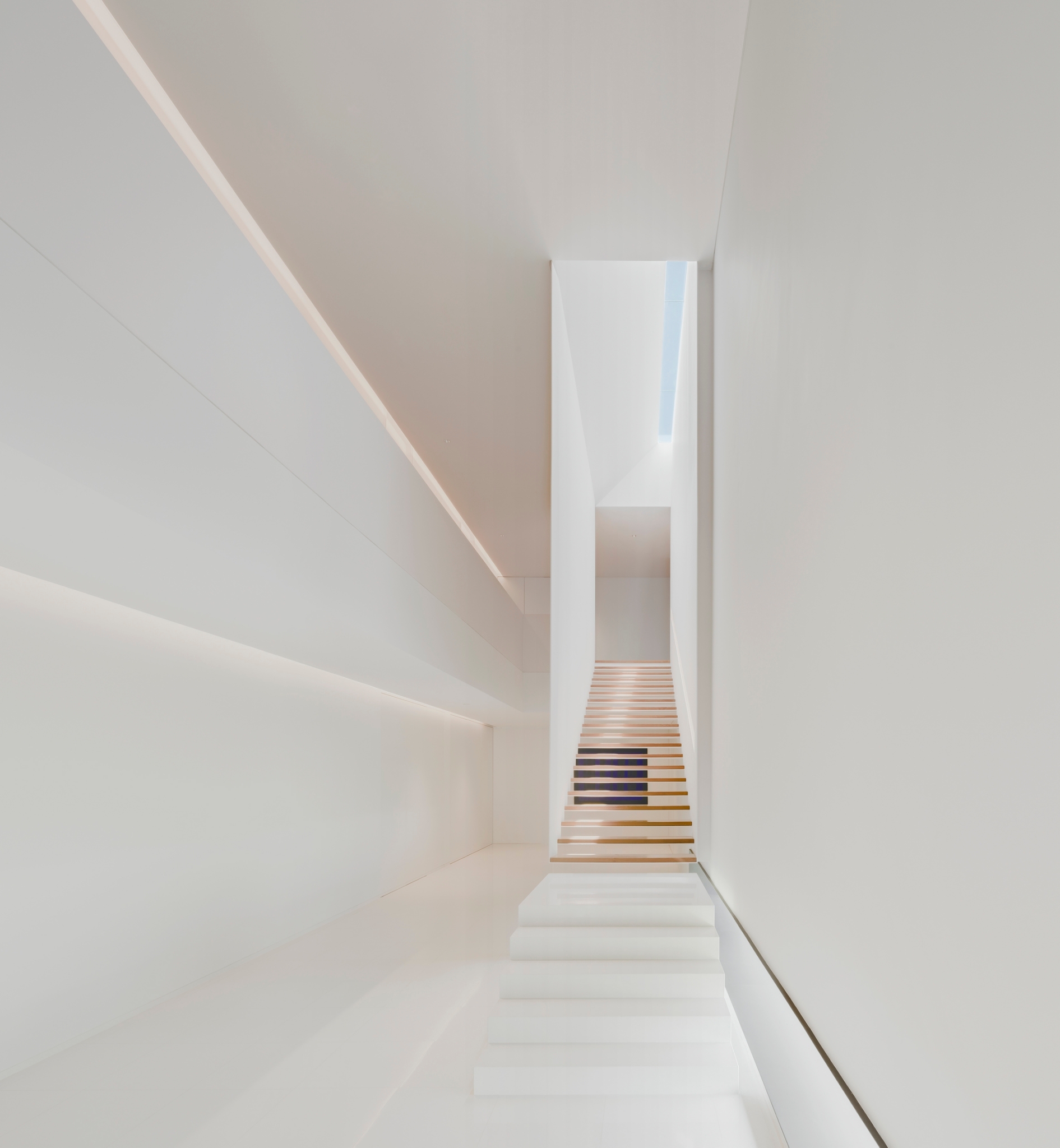 Gallery of Hidden House / Architects 49 - 15
