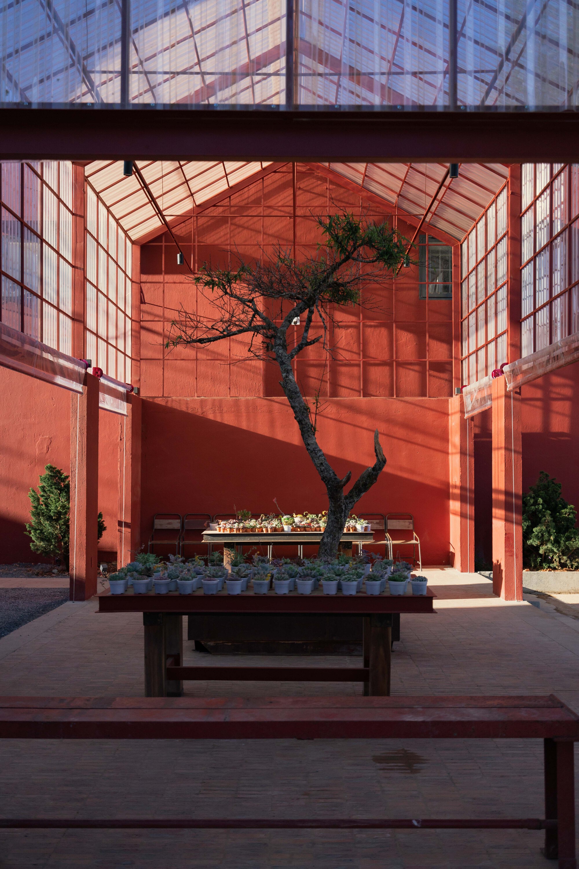 Gallery of Cau Dat Tea Museum / Bo Design & Construction - 11