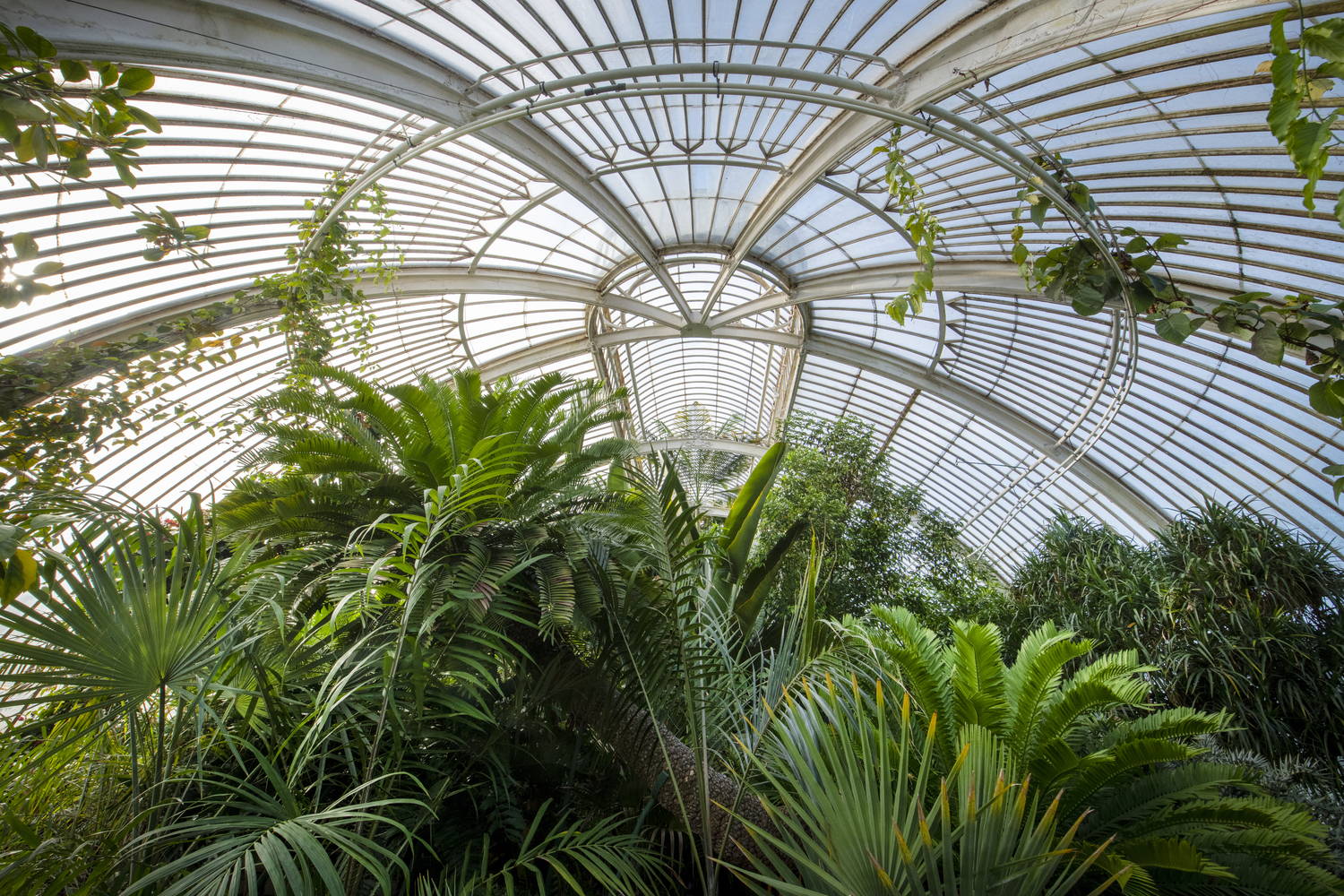 Gallery of Royal Botanic Gardens, Kew and Museum of Architecture launch ...