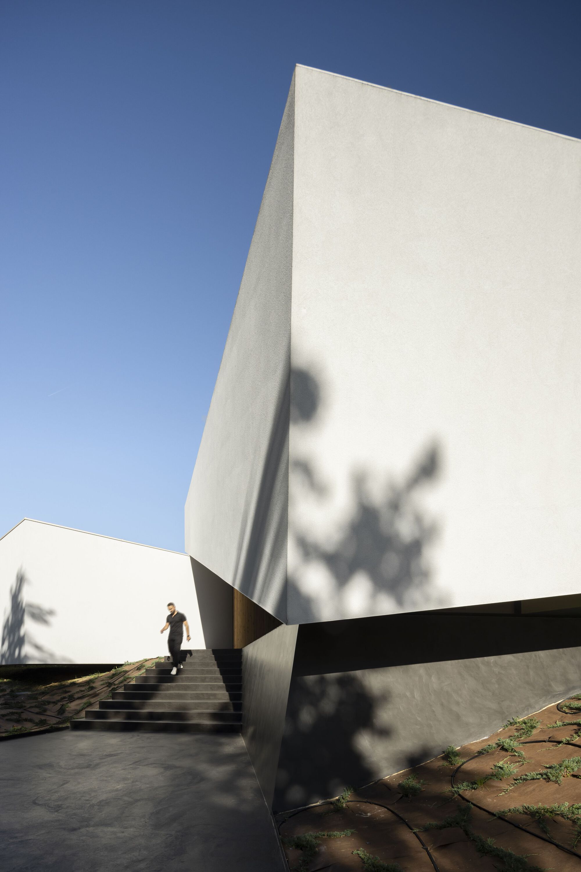 Gallery of Tilt House / MUTANT Architecture & Design - 14