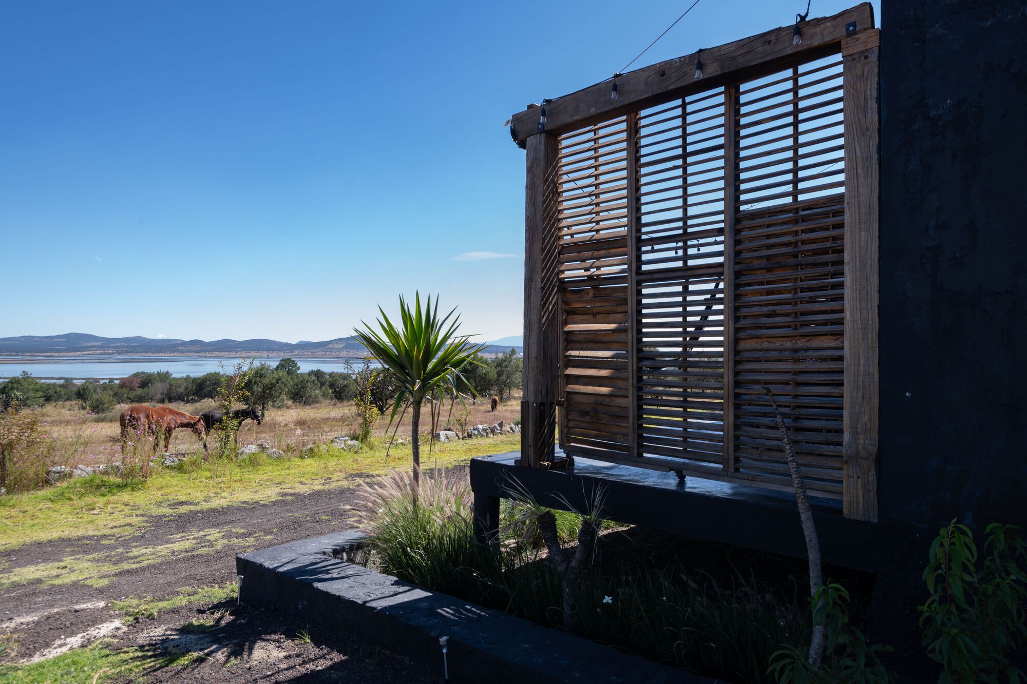 Gallery of Nakamura House / Fausto Terán + Toro - 19
