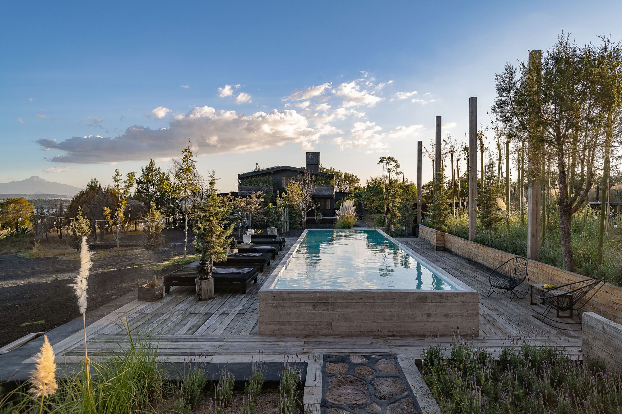 Gallery of Nakamura House / Fausto Terán + Toro - 18