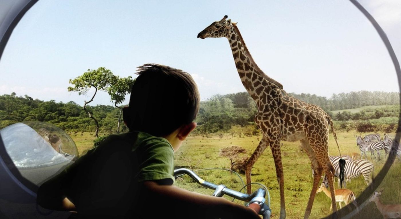 Gallery of From Aristocratic Displays to Eco-parks: The Current ...