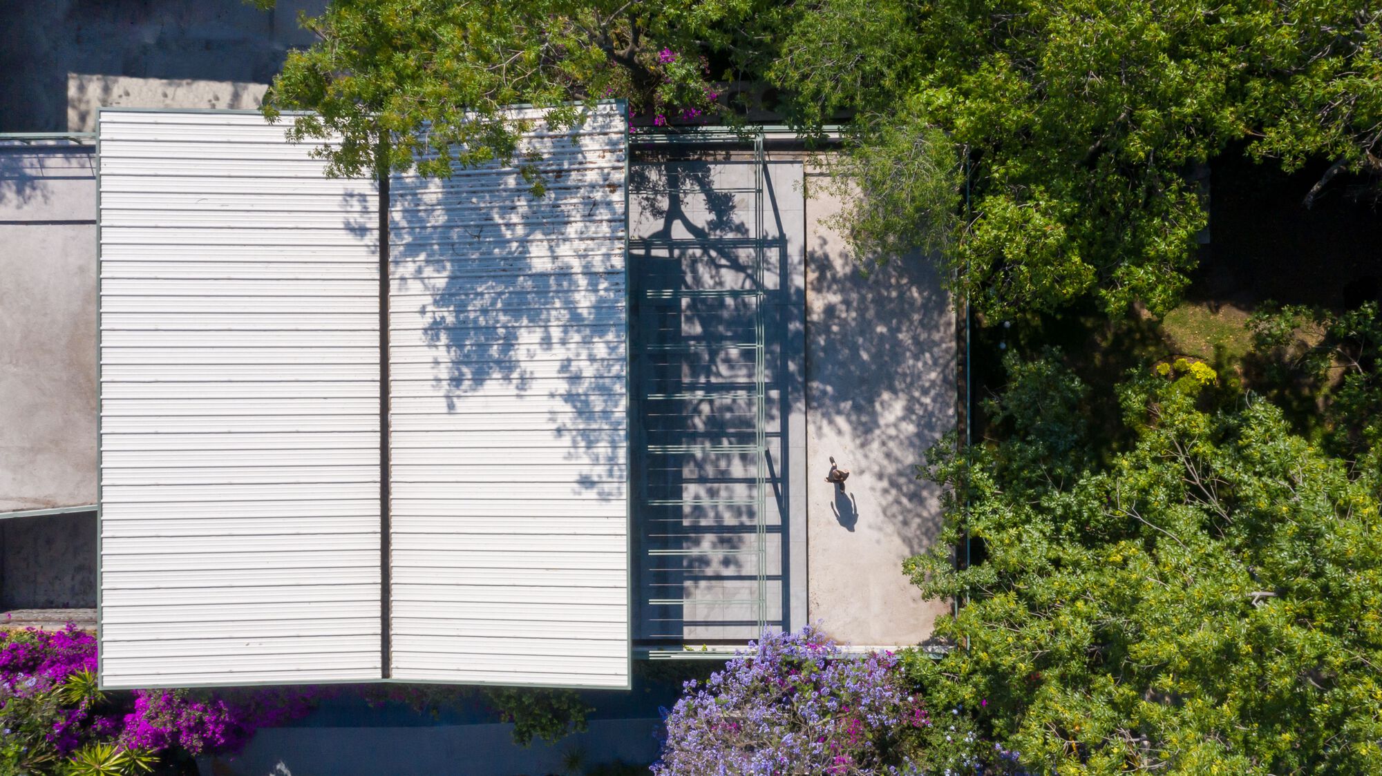 Gallery of Cascada House / Ana Nuño de Buen + Luis Young - 7