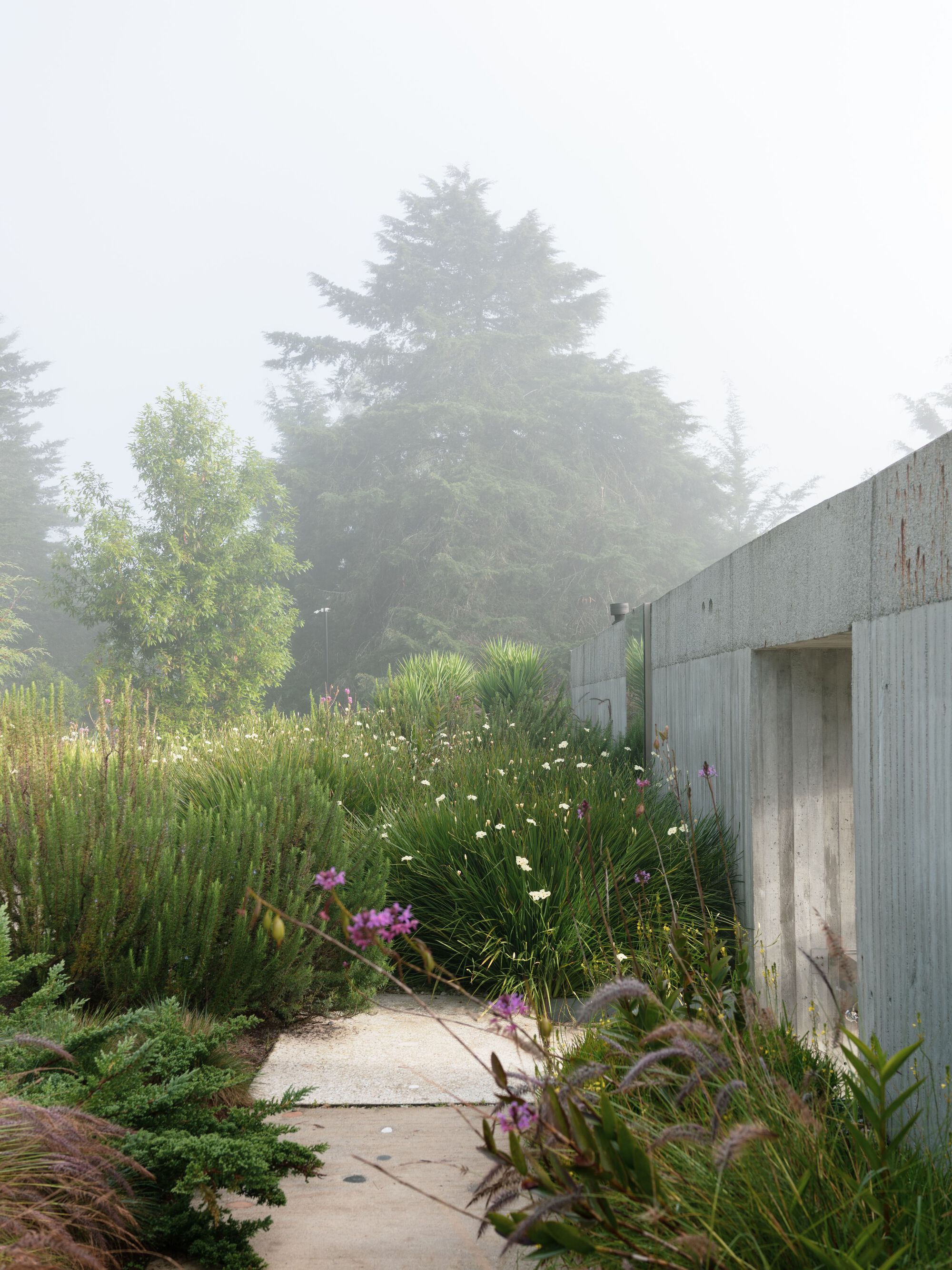 Gallery of Ballen House / LCLA Office + Clara Arango - 16