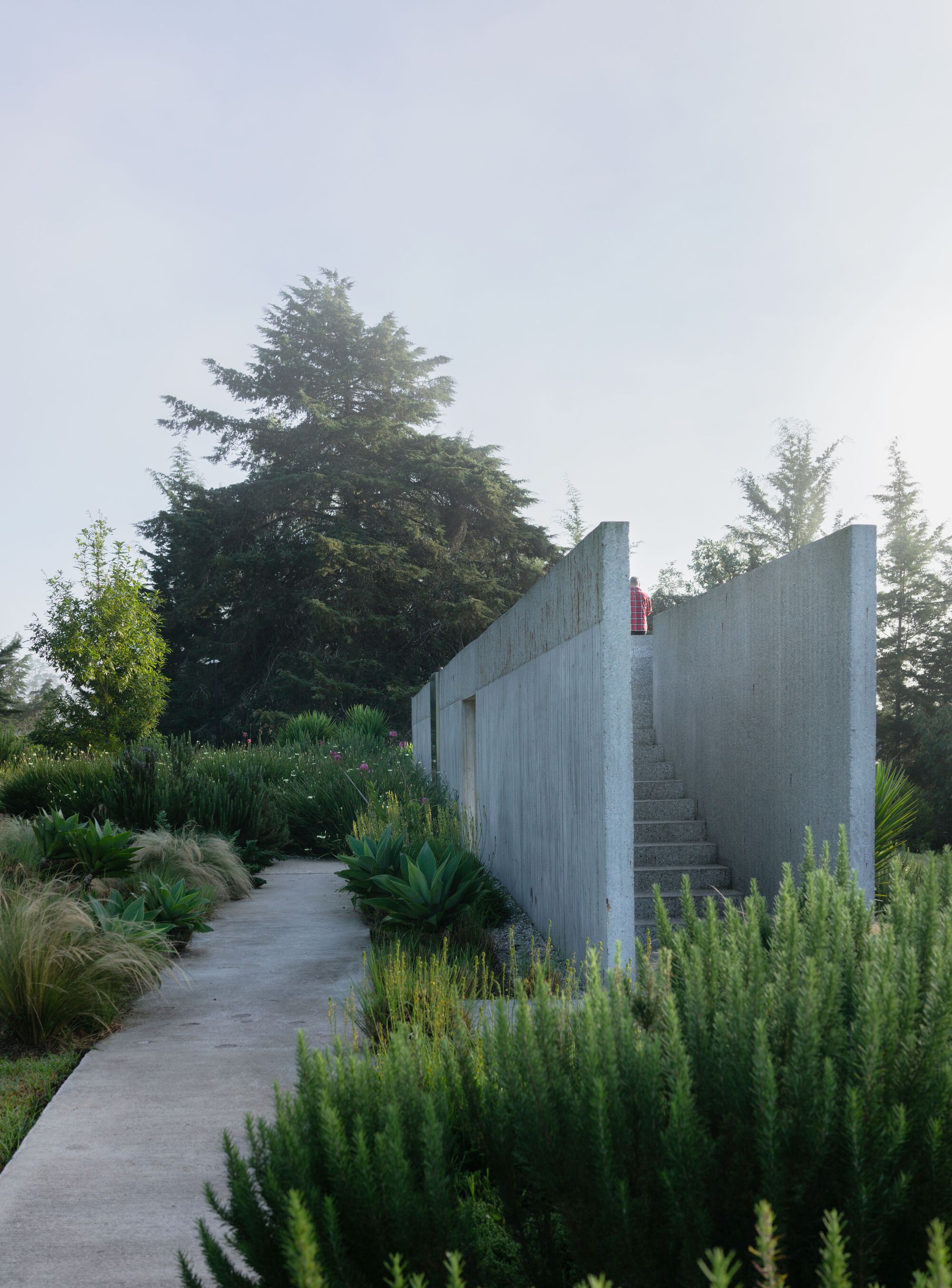 Gallery of Ballen House / LCLA Office + Clara Arango - 12