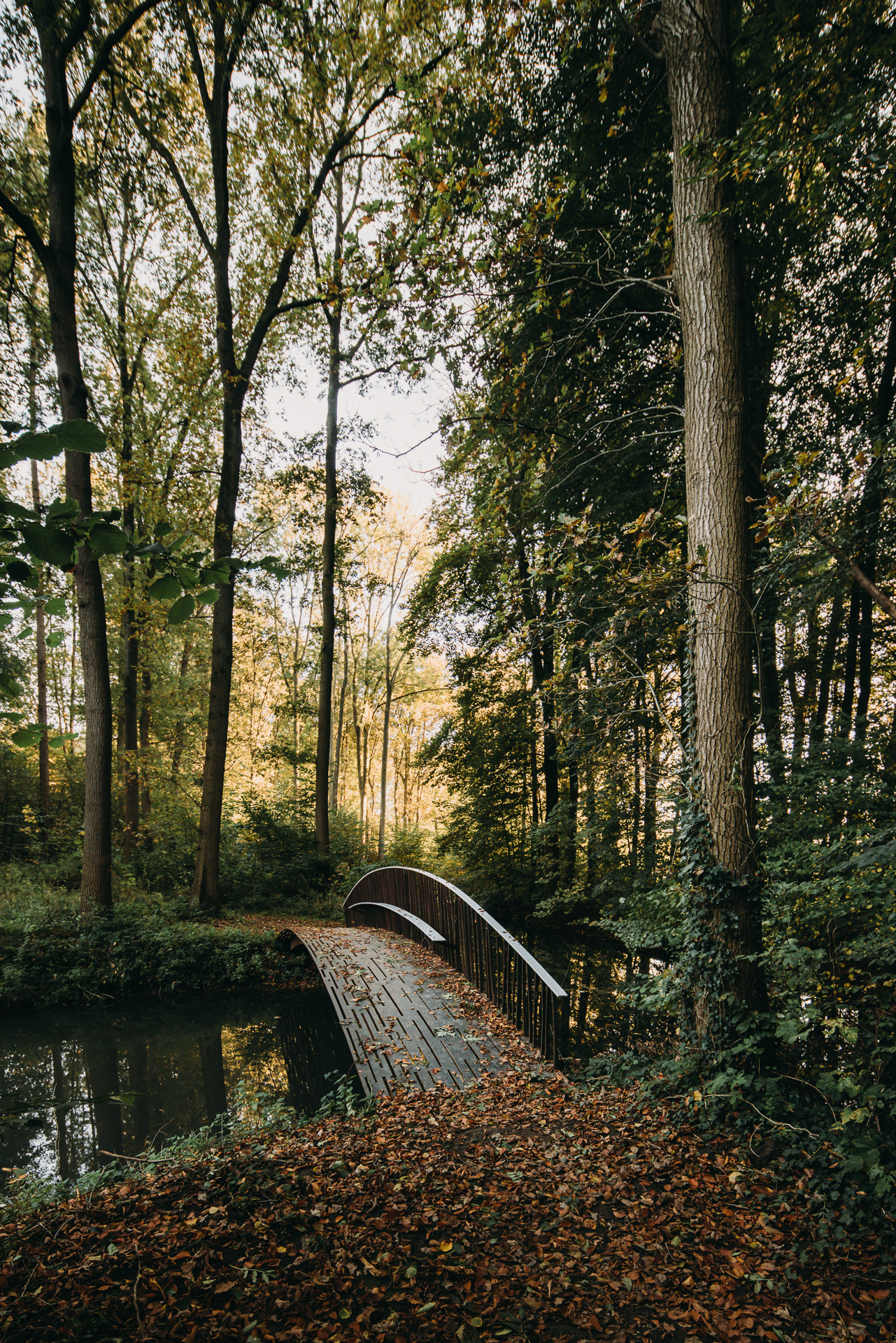 Gallery of Windesheim Bridges / NEXT architects - 8