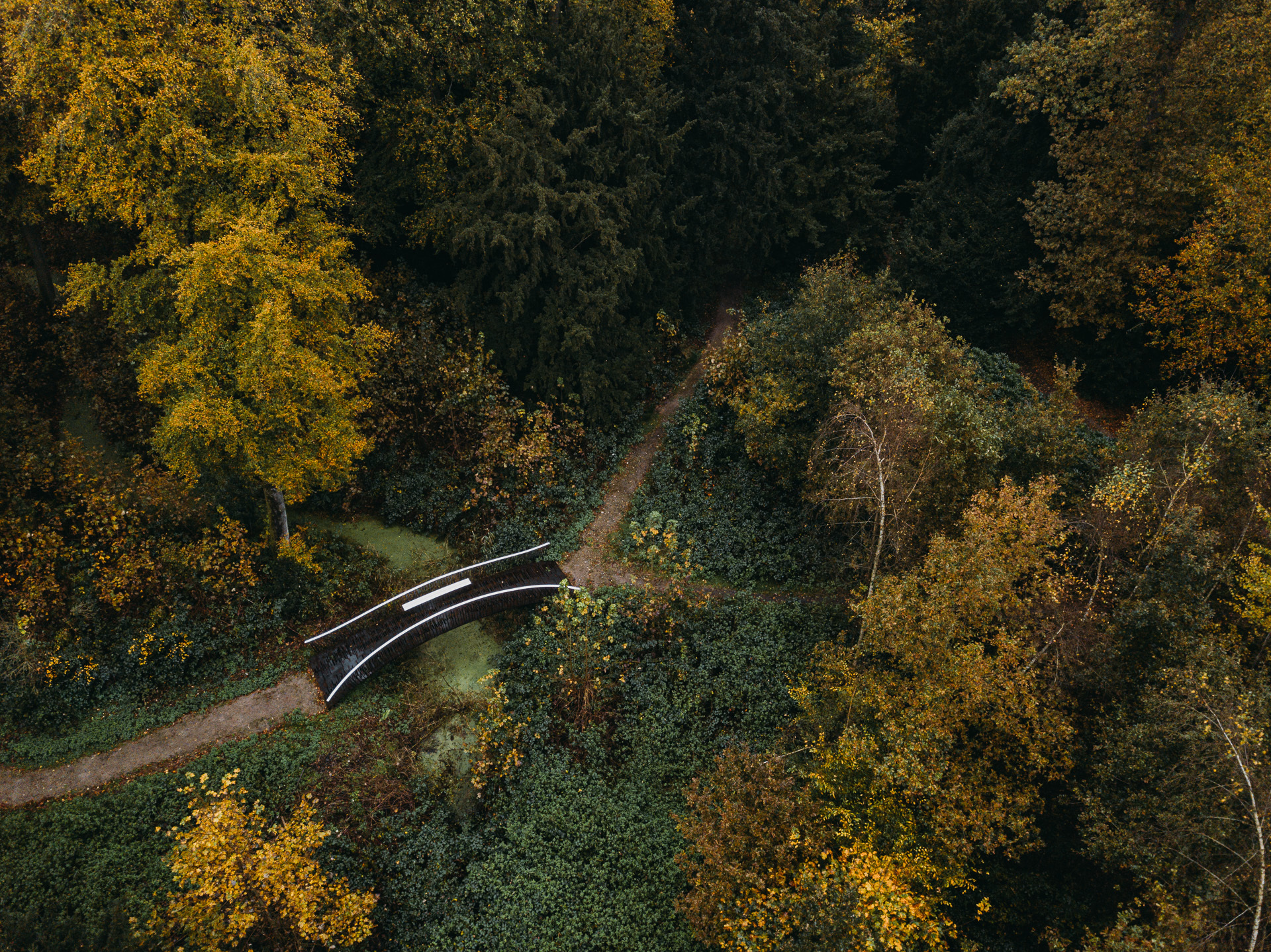 Gallery of Windesheim Bridges / NEXT architects - 17
