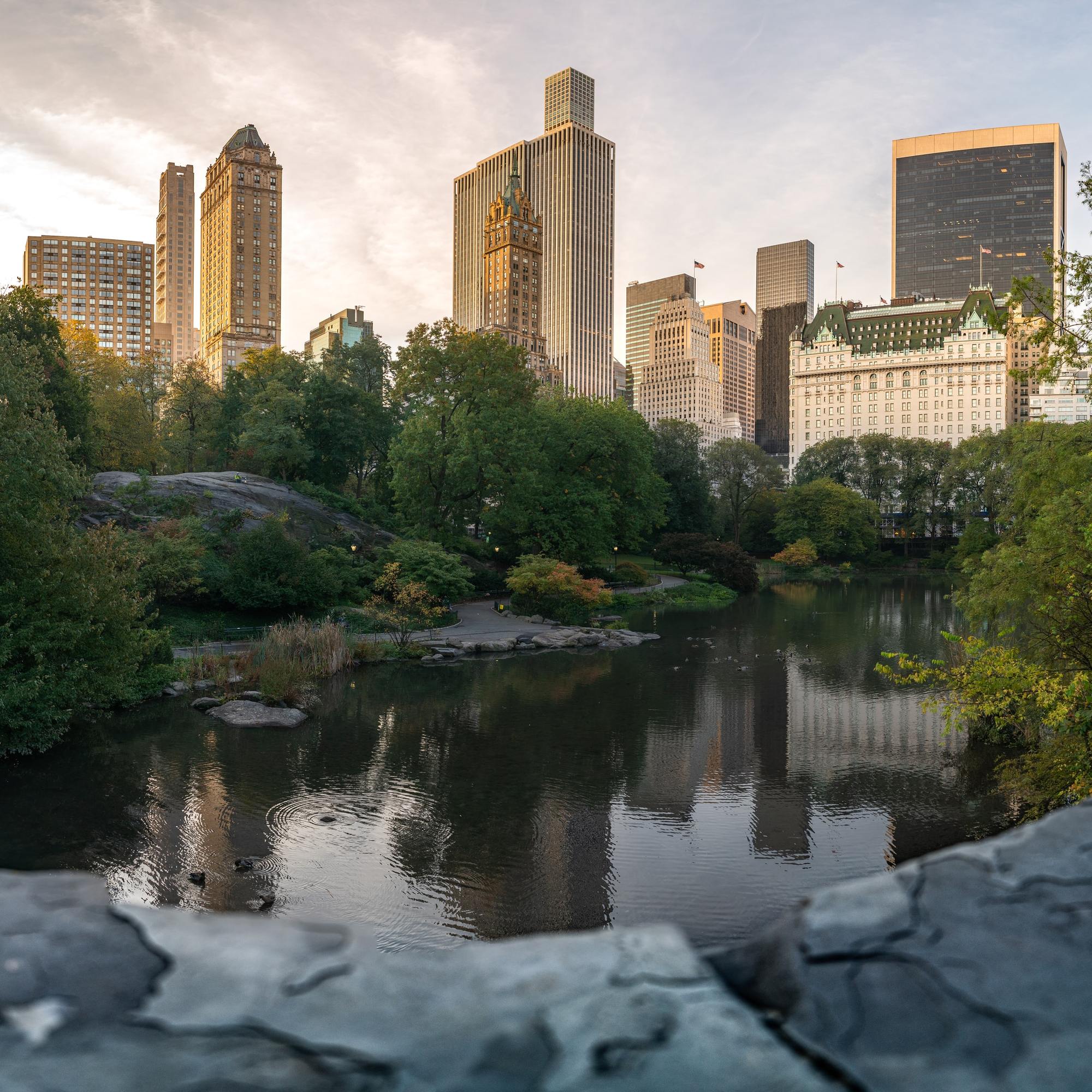 Environmental Problems In Urban Areas