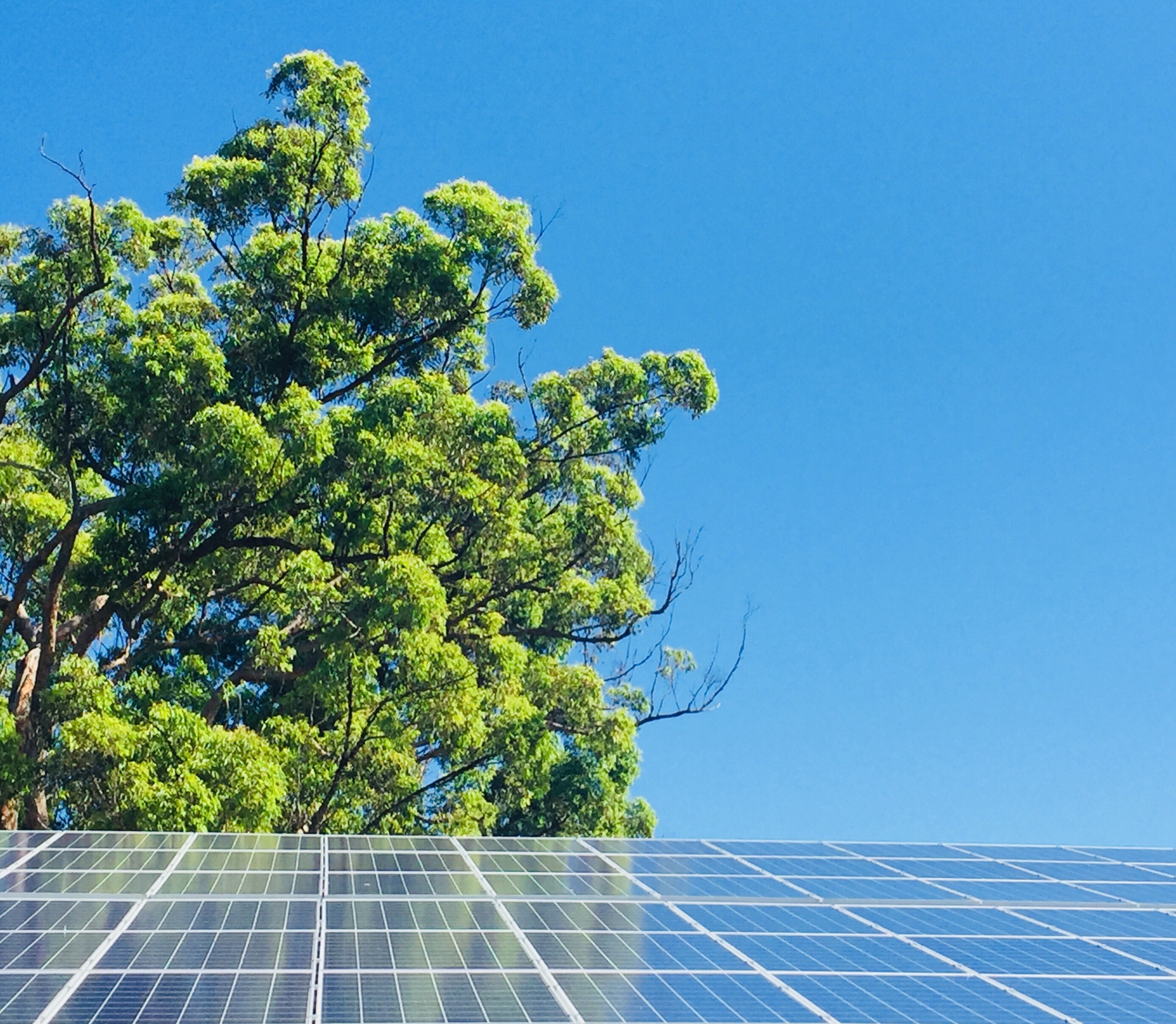 Gallery of Reimagining the Possibilities for Affordable Housing in a ...