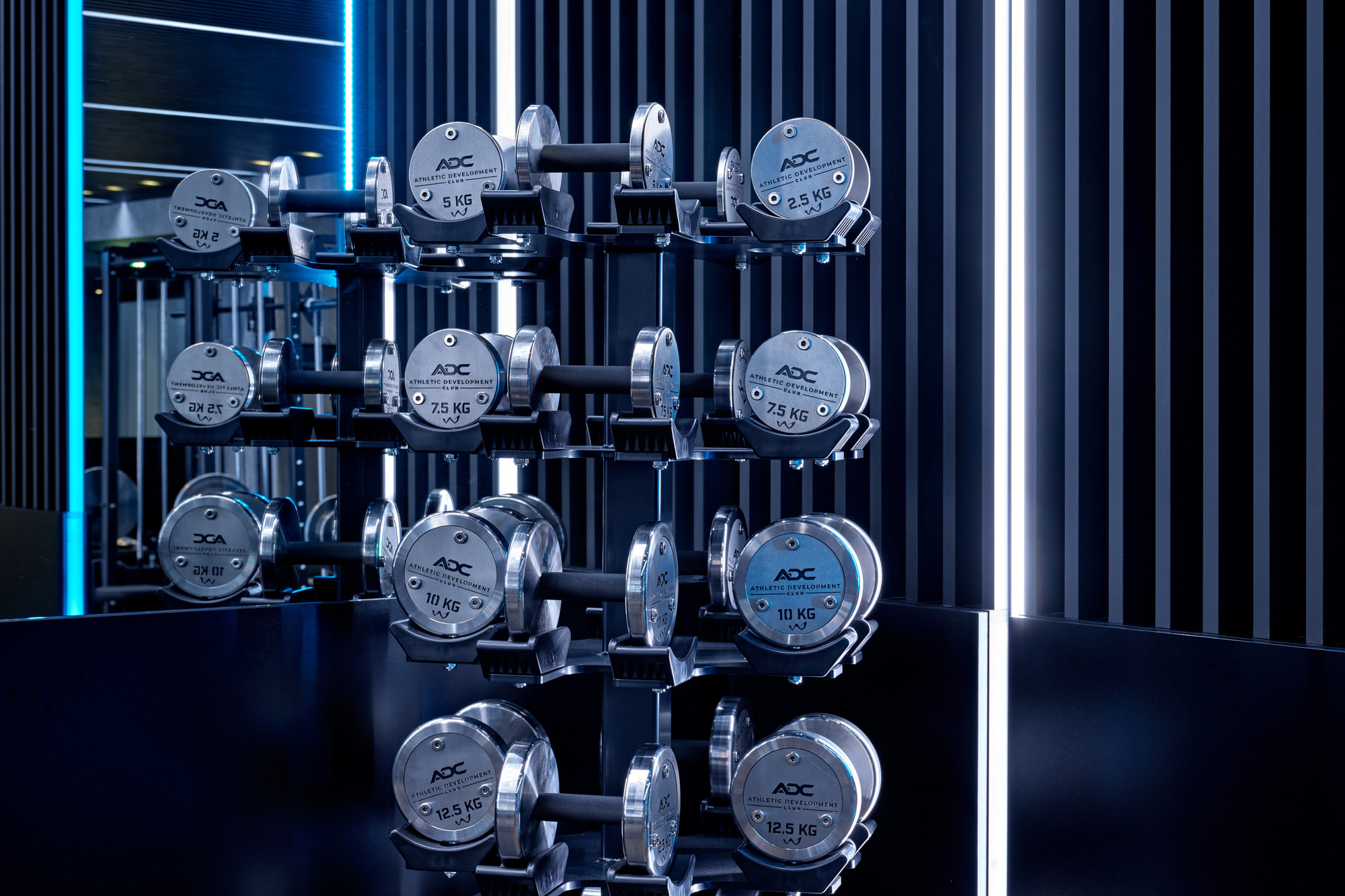 Gallery of Athletic Development Club / Studio VA - 15