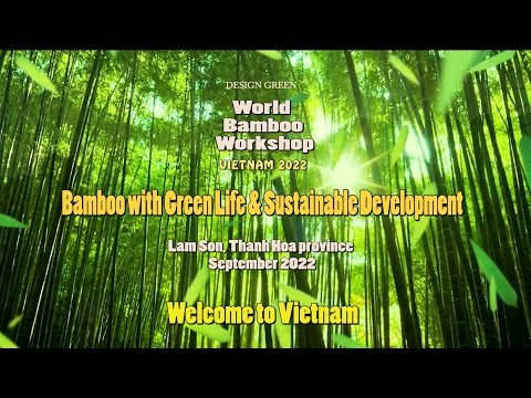 Gallery of International Bamboo Pavilion Design Competition - 1