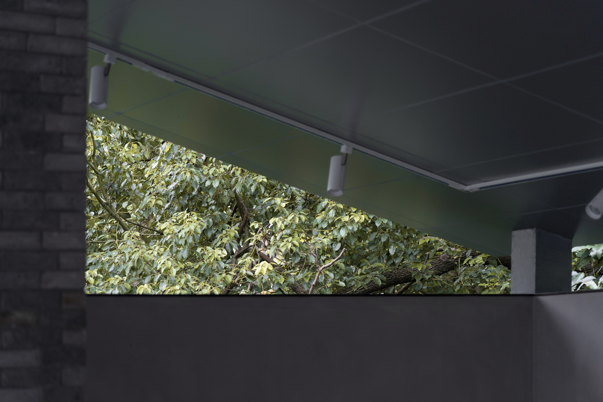 Gallery of Public Health Service Facilities / Mur Mur Lab - 14