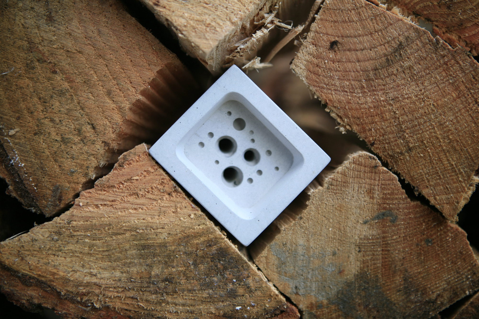 Gallery of Giving Nature a Home in Cities: Bricks for Bees' Nests - 11