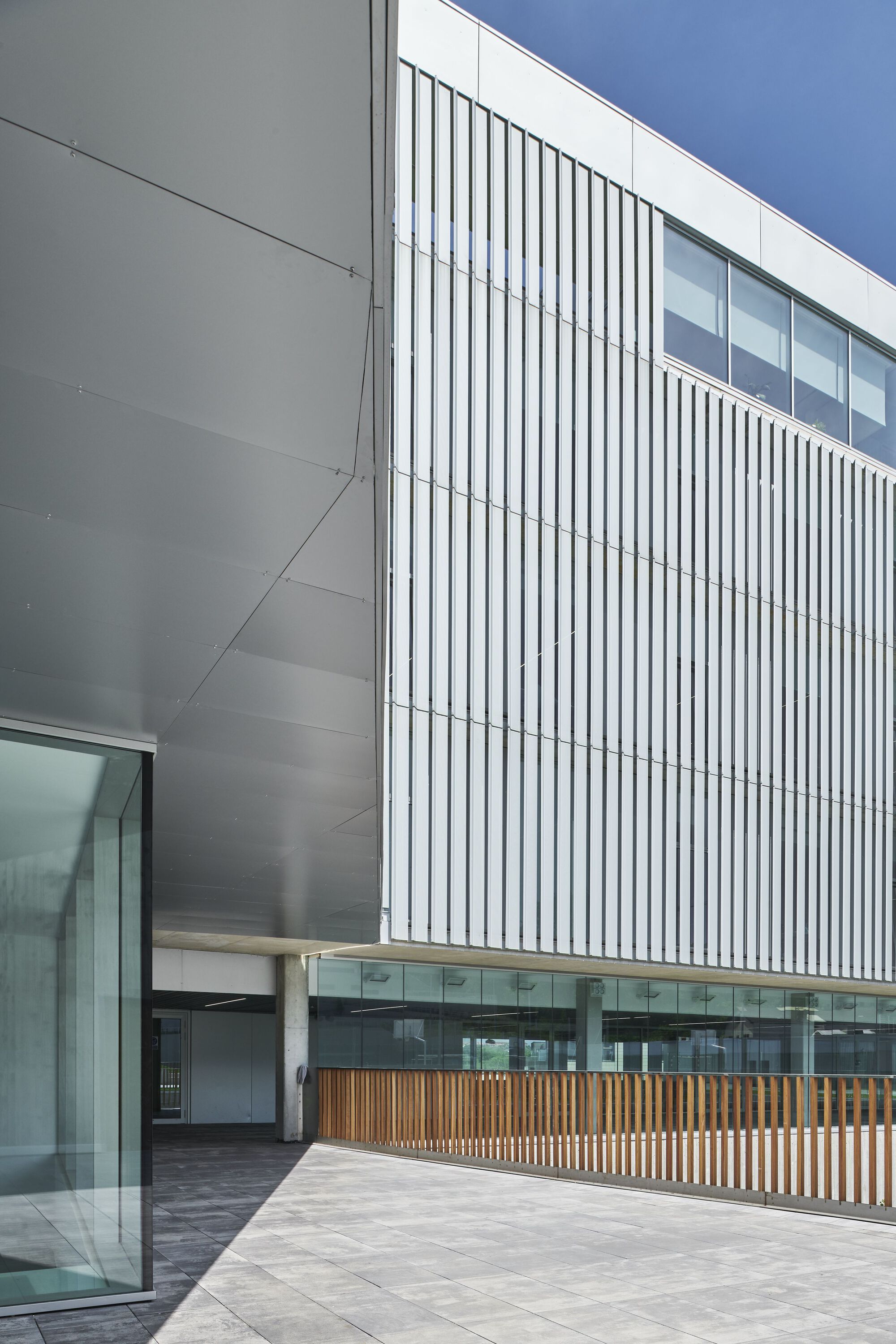 Galería de Colegio Aldapeta María Ikastetxea en San Sebastian / IDOM - 20