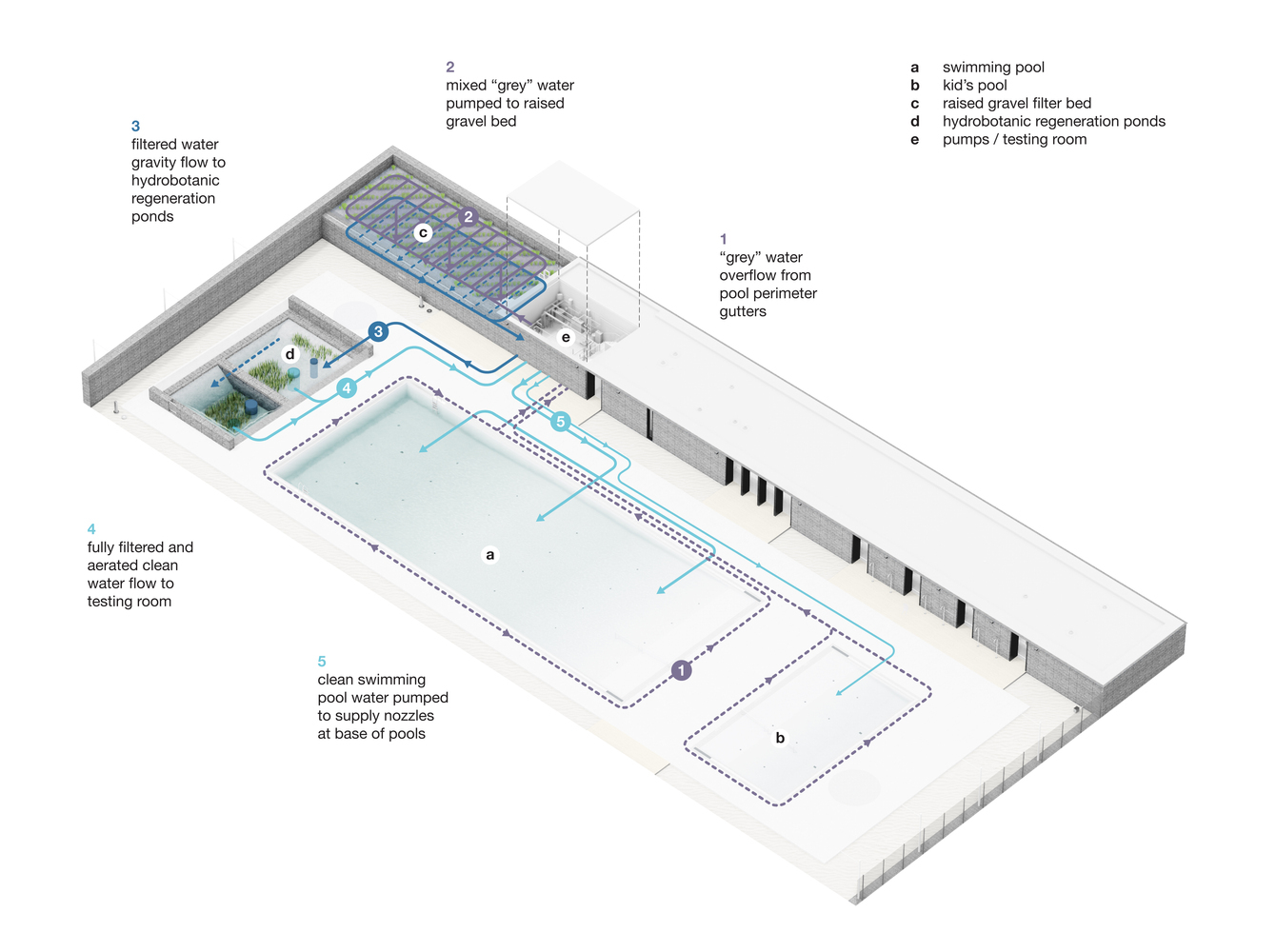 Gallery of Natural Pools: Small Ecosystems for Leisure - 10