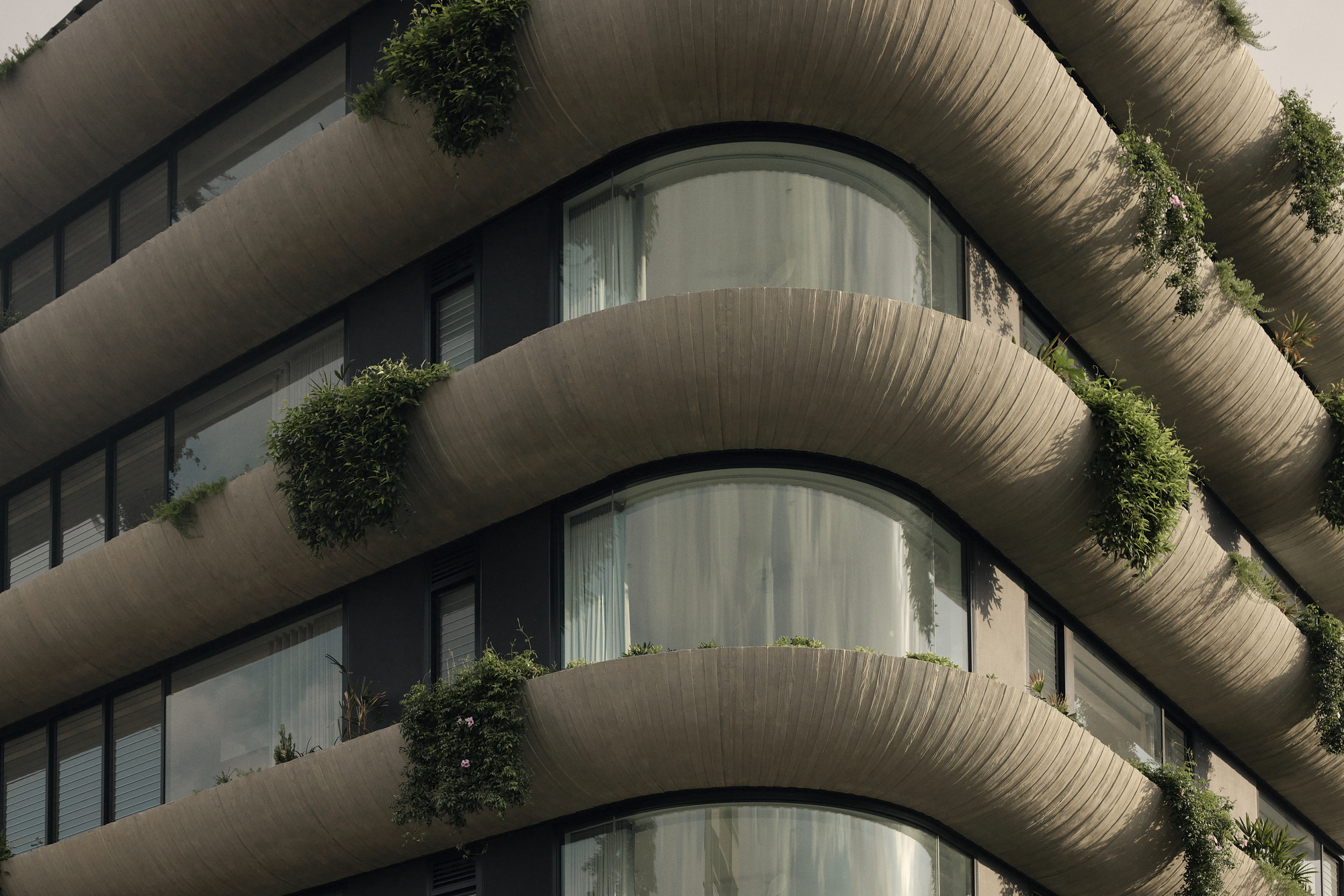 Gallery of Maison New Farm Multi-residential Complex / Graya + Joe ...