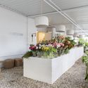 Designing With (And For) Flowers: Beauty and Sensitivity in 7 Flower ...
