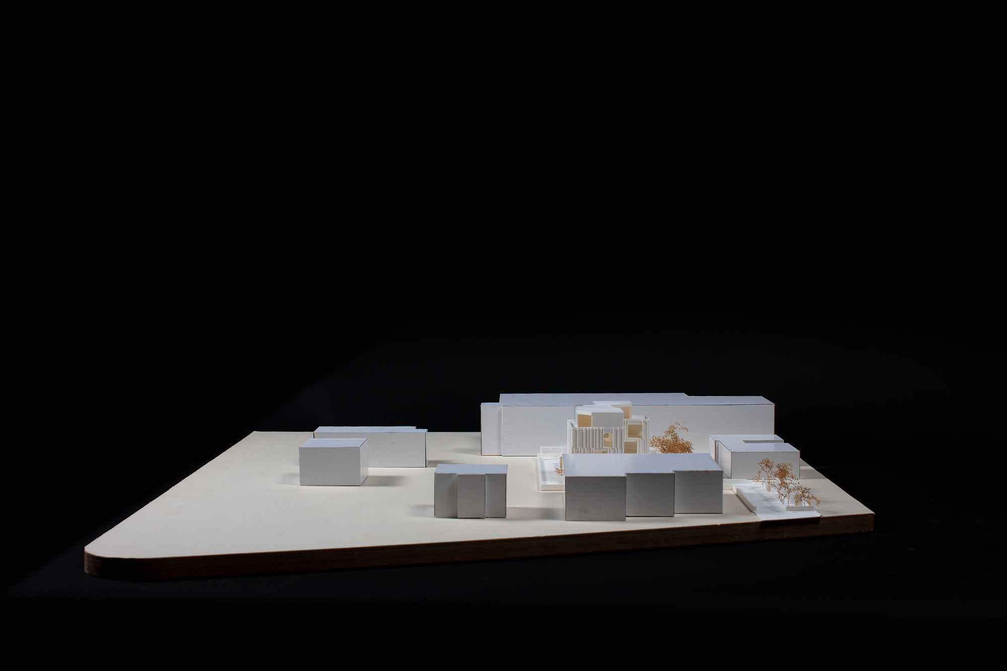 Gallery of PALMS Headquarters / KM 429 architecture - 24