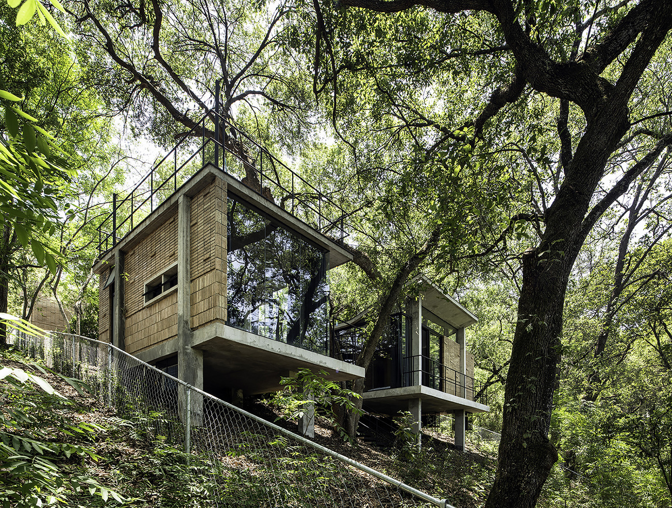 Gallery of Houses in the Forest: Examples That Dialogue with the ...