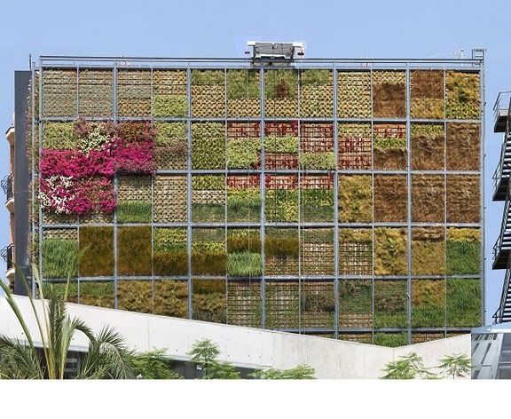 Gallery of Can Exterior Green Walls Contribute to a Carbon Neutral ...