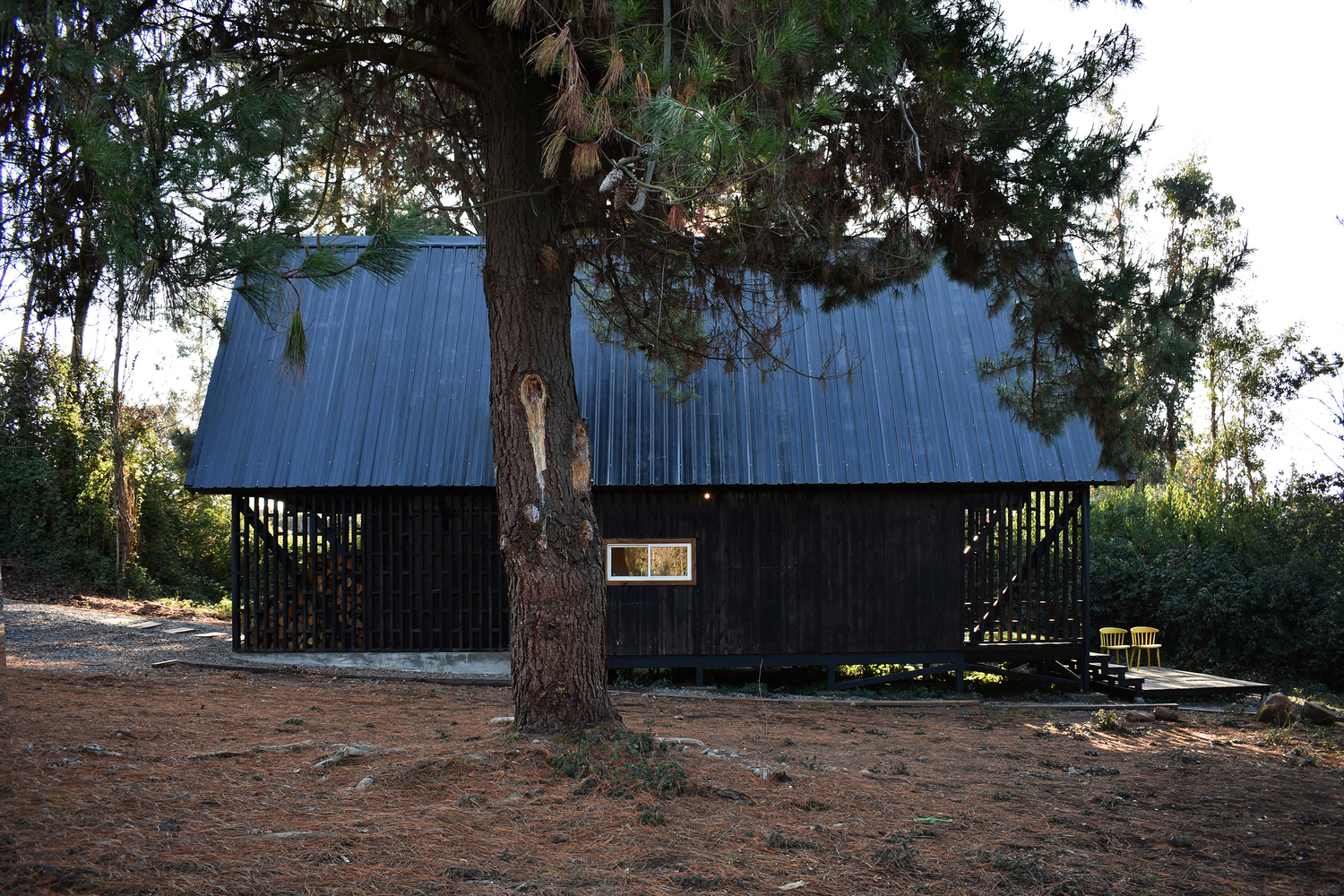 Gallery of Houses in the Forest: Examples That Dialogue with the ...