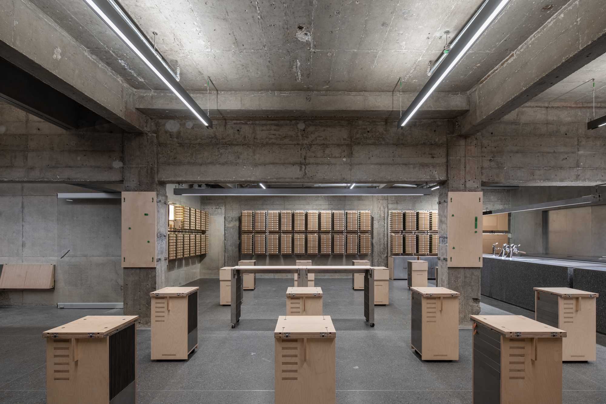 Gallery of Into the Force Store / Roarc Renew - 21