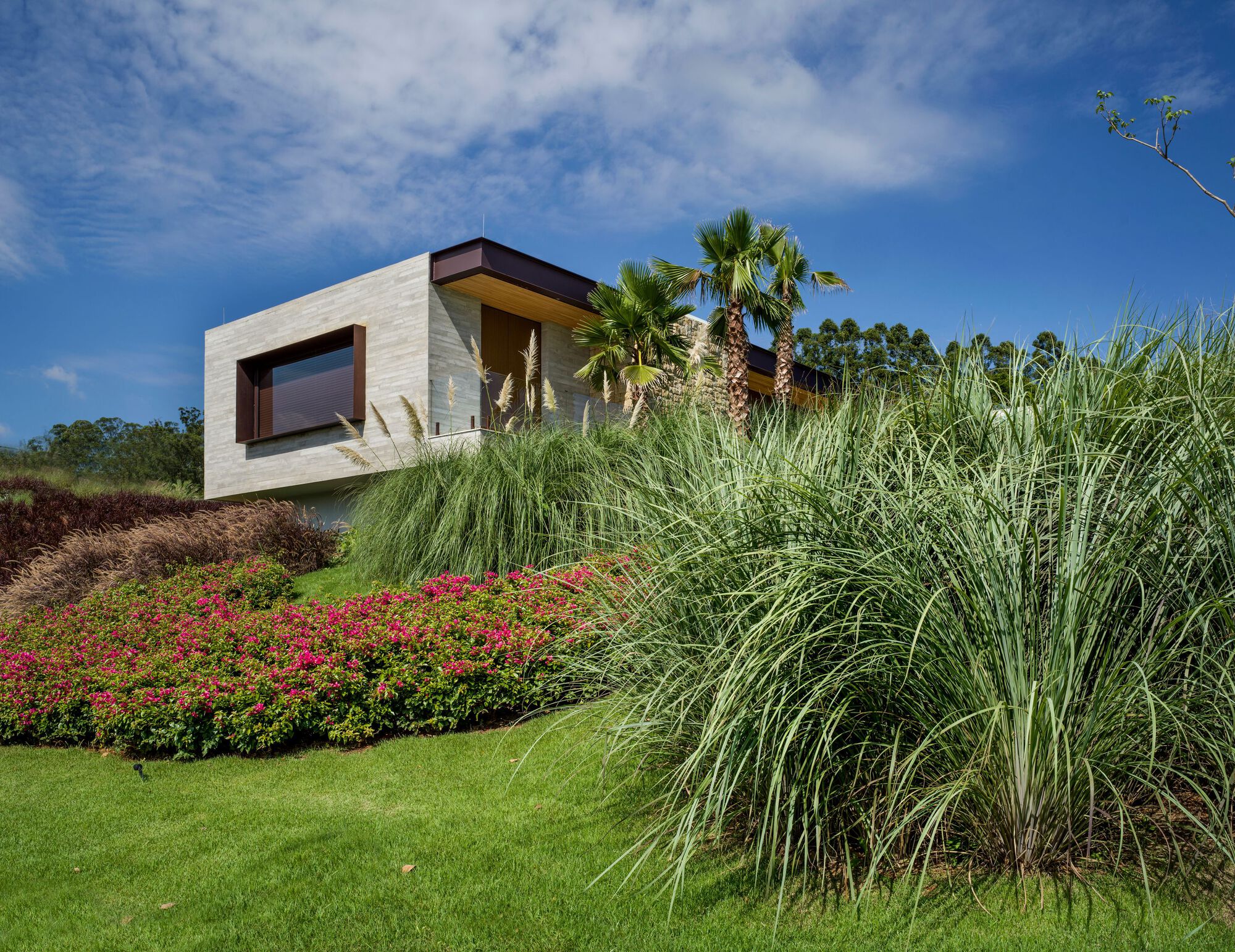 Gallery of House FT / Leonardo Junqueira Arquitetura - 6