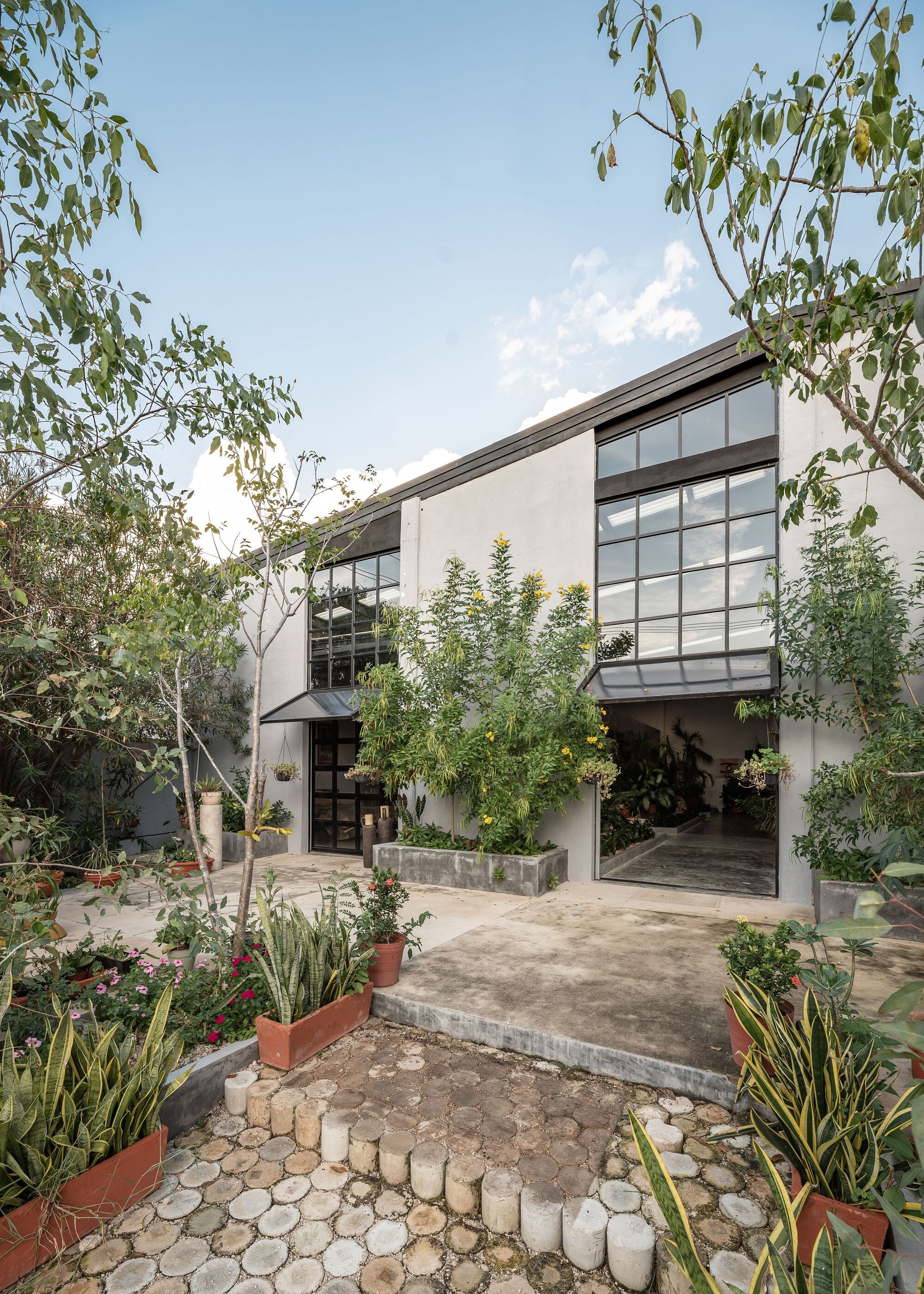 Gallery of The Cellar House / Taller Verde Arquitectura - 7