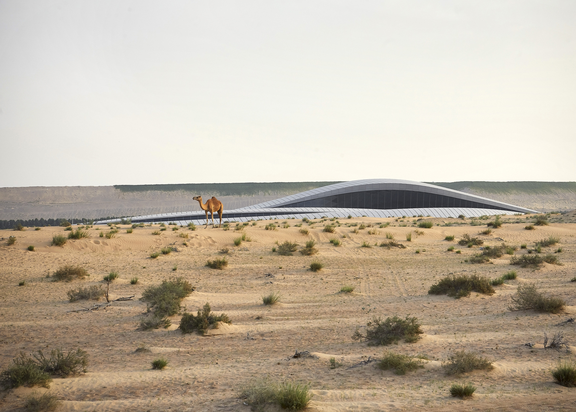 Gallery of BEEAH Headquarters / Zaha Hadid Architects - 8