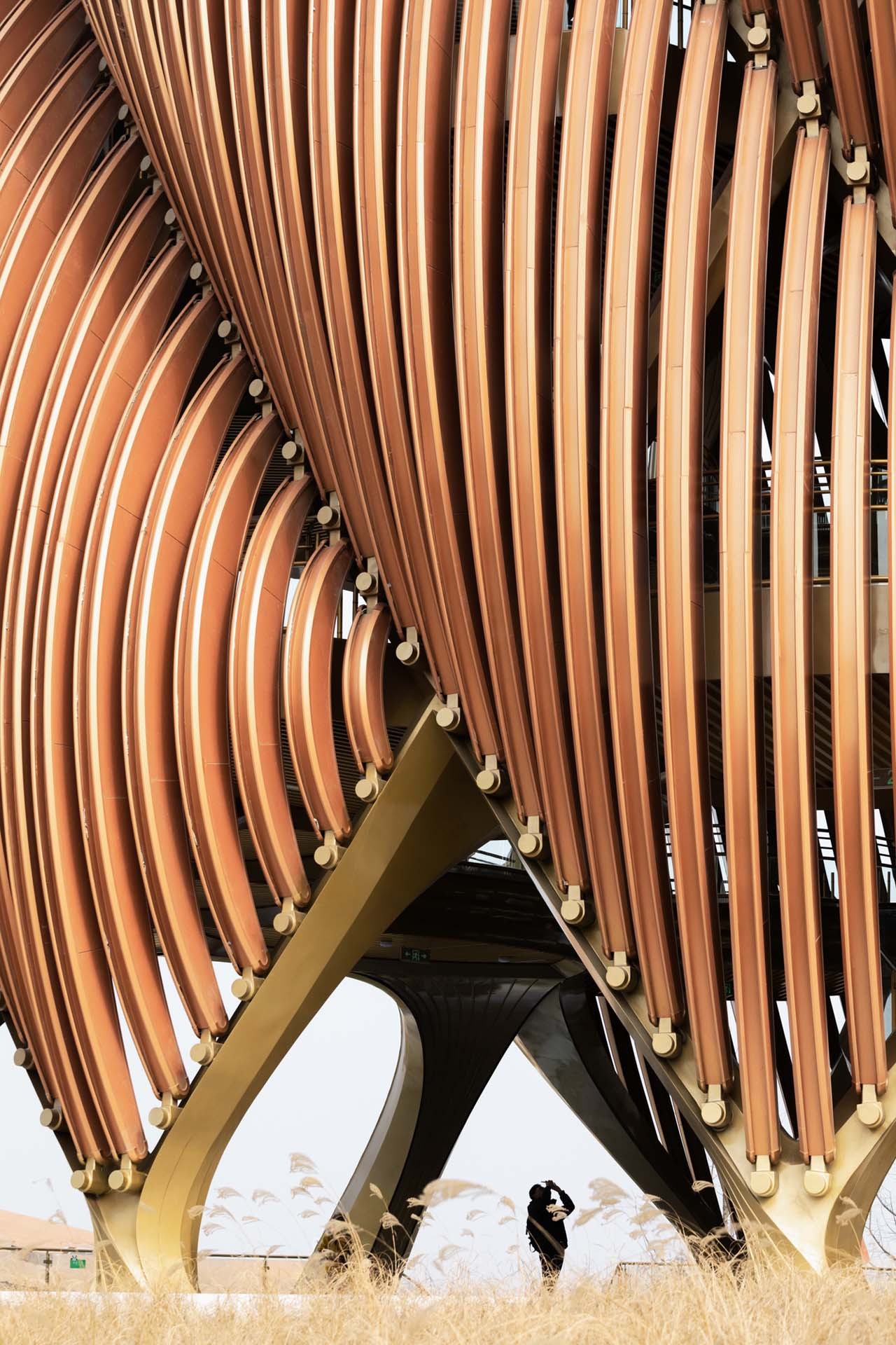 Galeria de Torre Panda / UDG. Atelier Alpha - 24