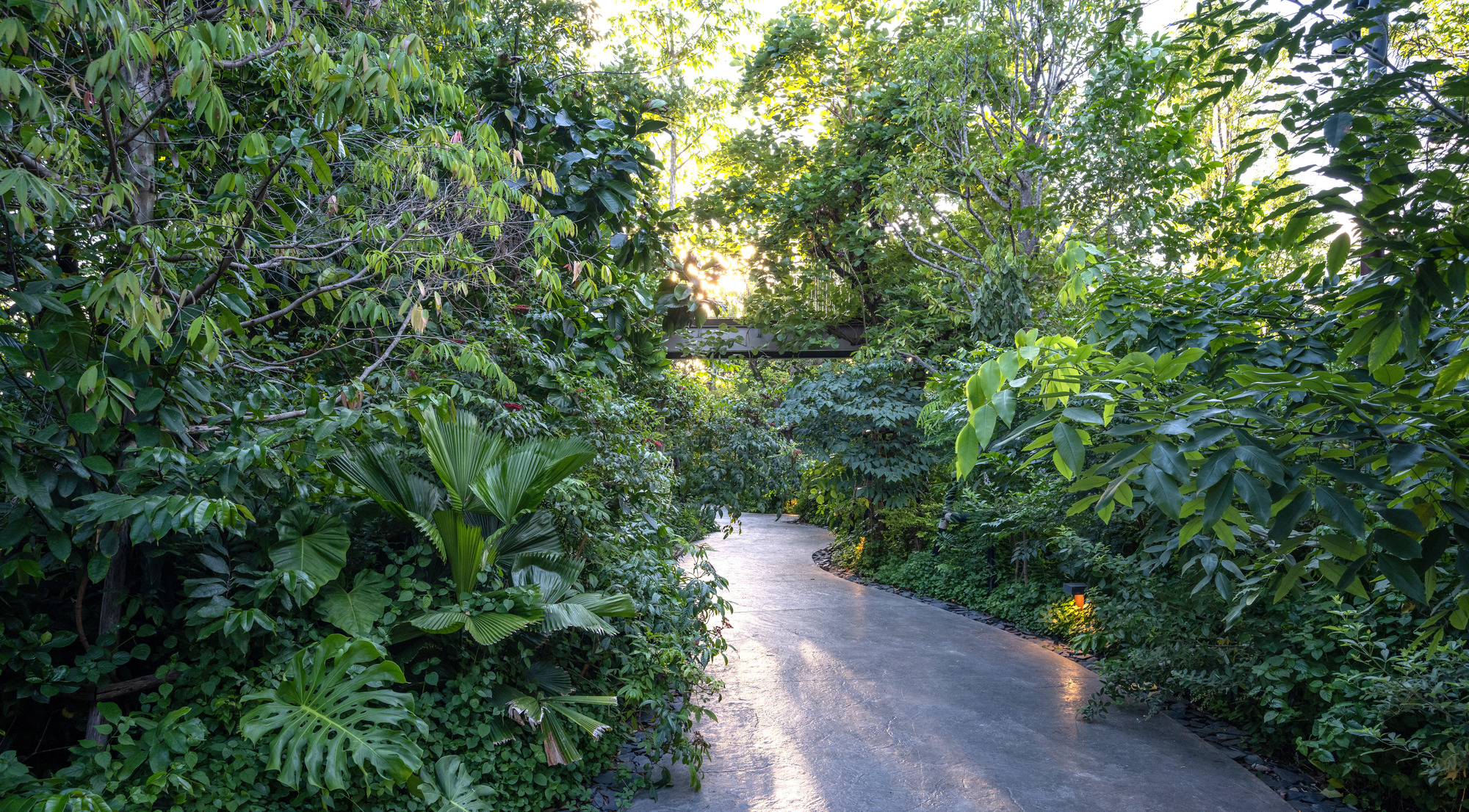 Gallery of Forest Pavilion, The Forestias / Foster + Partners + TK ...