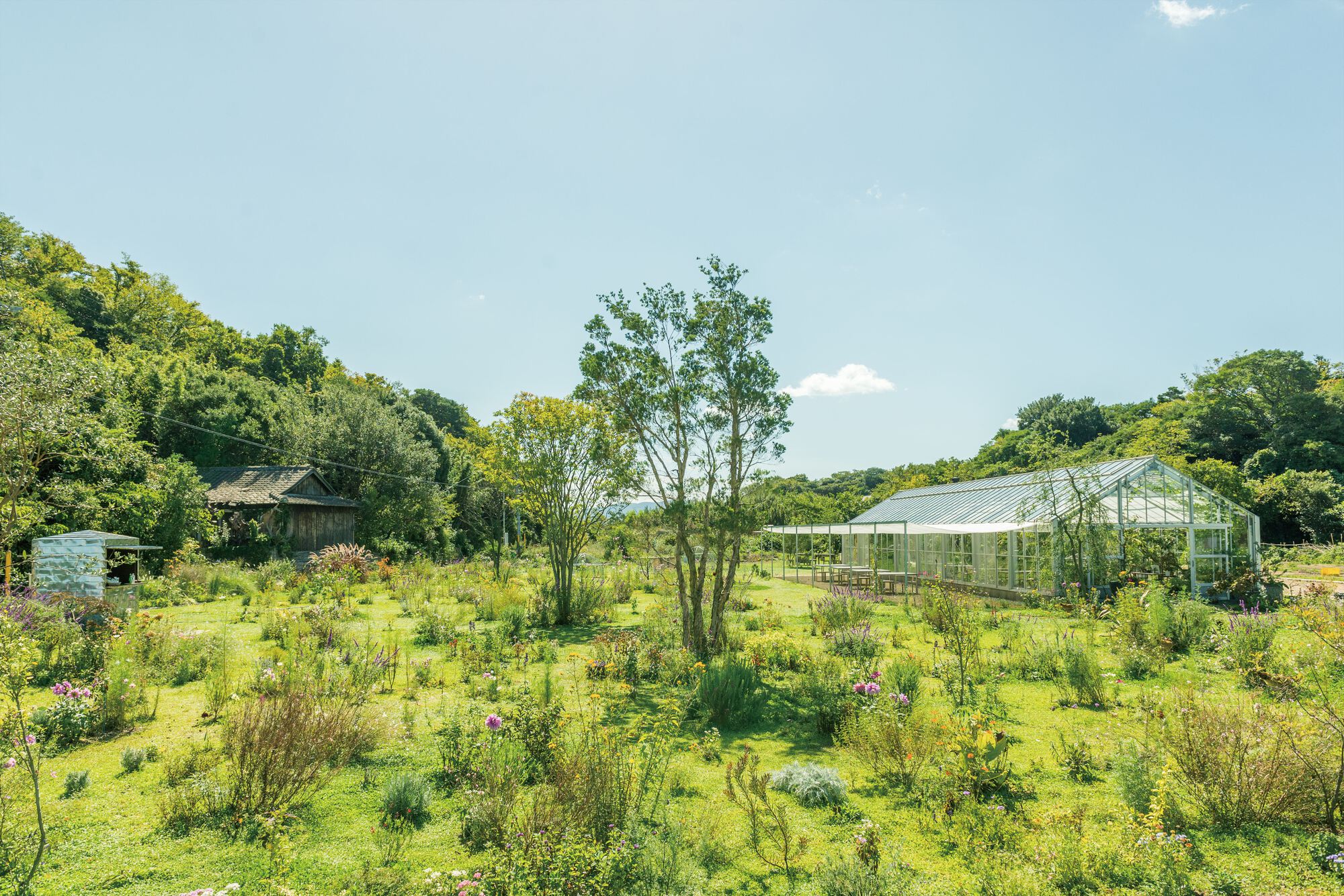 Gallery of New Exhibition Co-Curated by Kazuyo Sejima Explores the Art ...