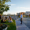Terrace House / Austin Maynard Architects | ArchDaily