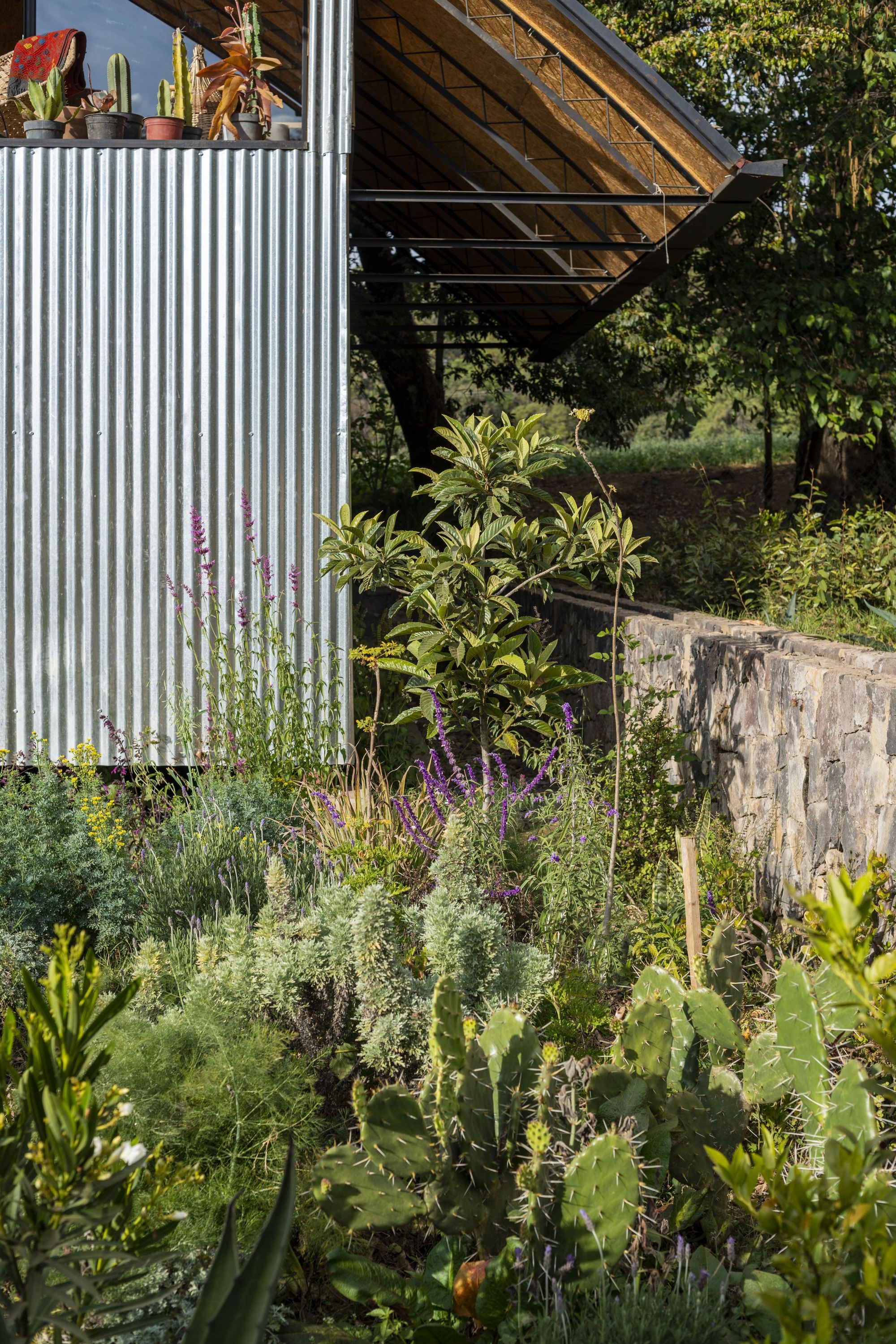 Gallery of La Lomita Retreat / ASPJ Arquitectura, Paisaje y Territorio - 11