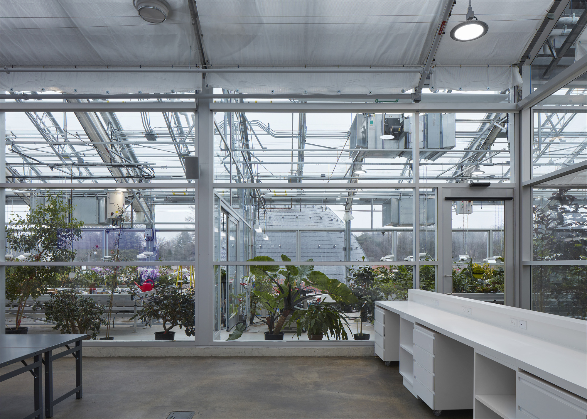 Gallery of Montréal Insectarium / Kuehn Malvezzi + Pelletier De ...