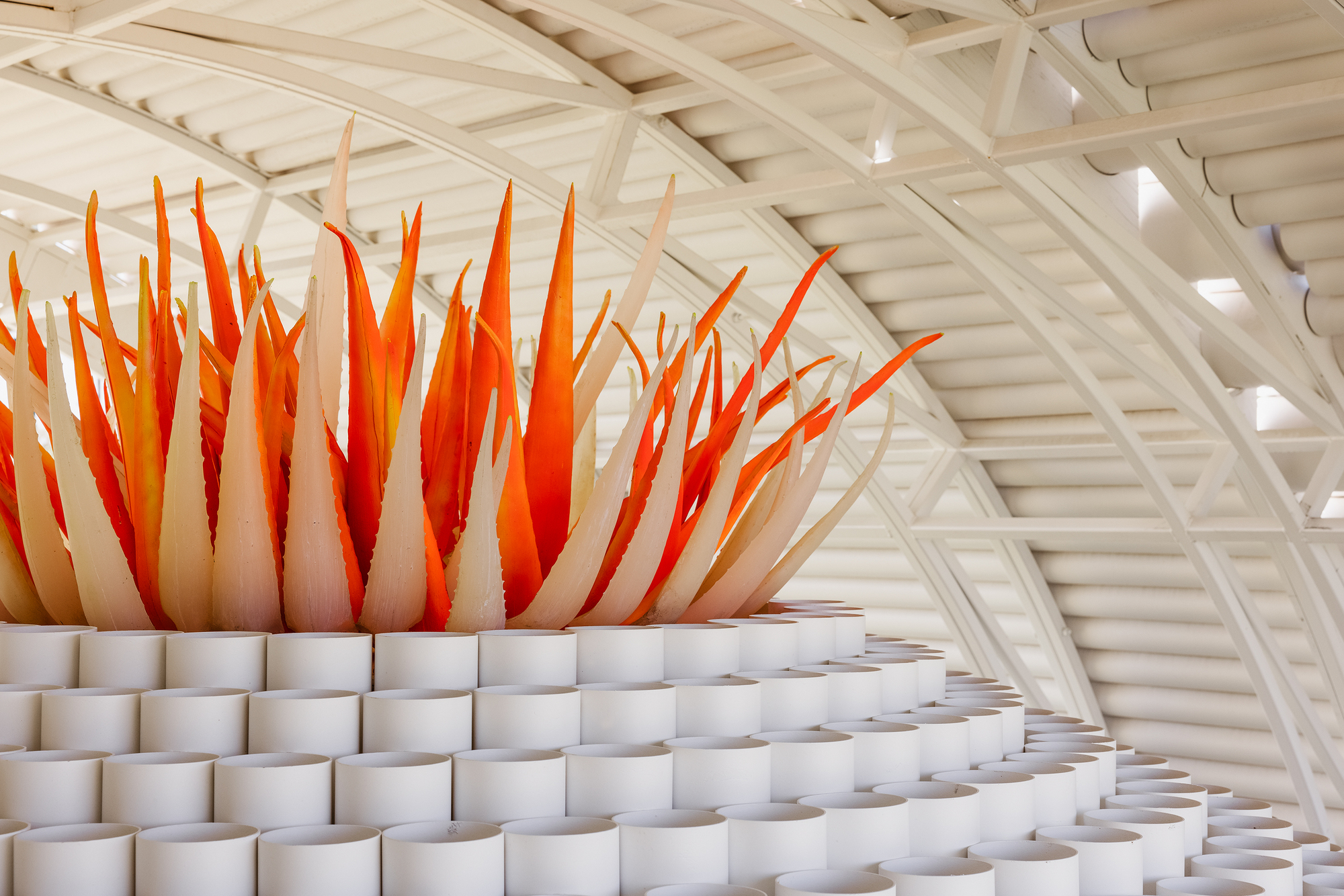 Gallery of Coachella 2022 Installations Explore Architecture, Pop ...