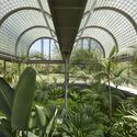 Glass House / Max Núñez | ArchDaily