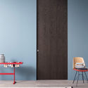 Go Big or Go Home: Oversized Doors in Residential Interiors | ArchDaily