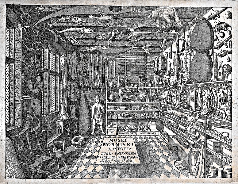 Gallery of The Transformation of the Museum: From Curiosity Room to ...