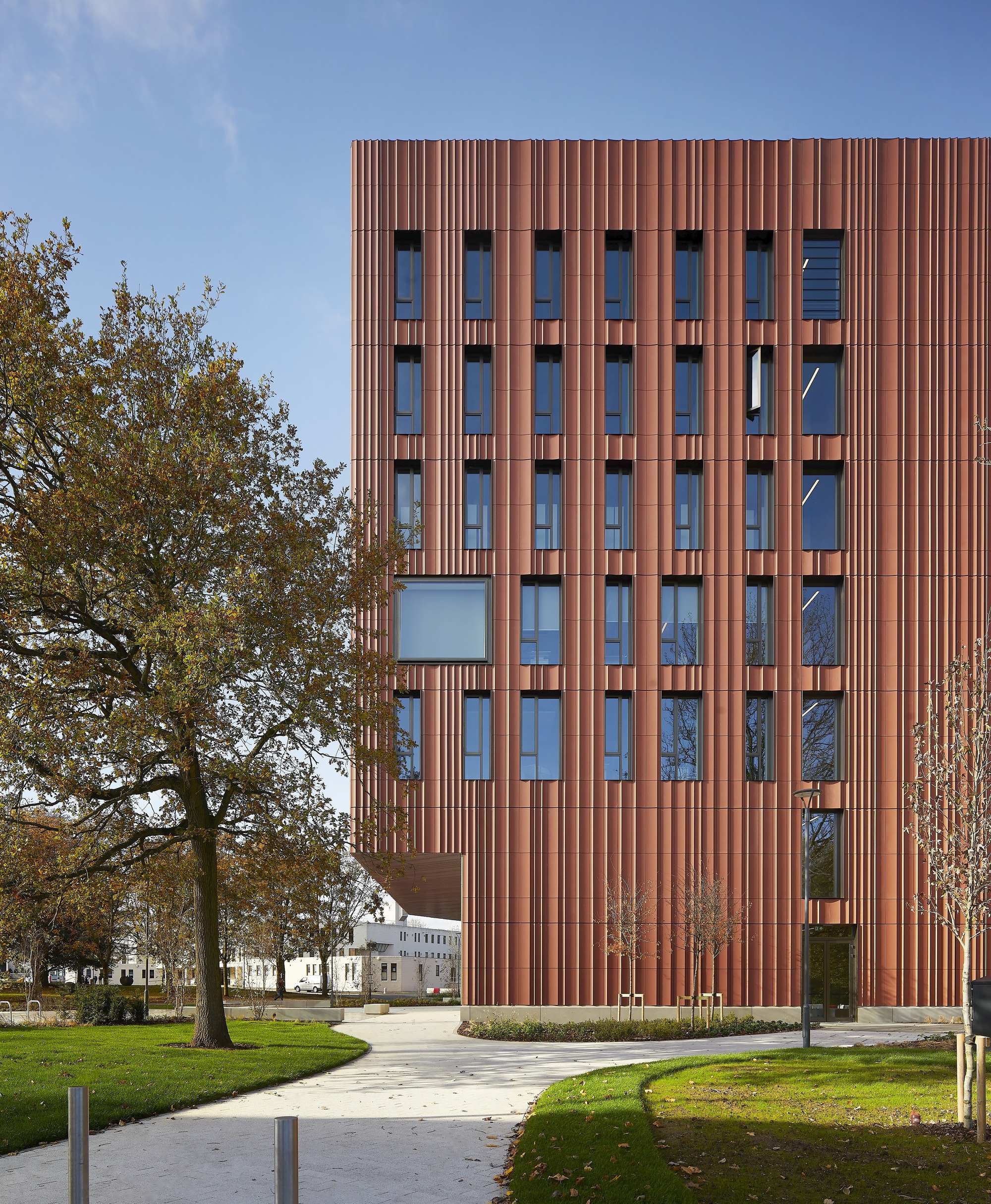 画廊 华威大学艺术学院大楼 / Feilden Clegg Bradley Studios - 3