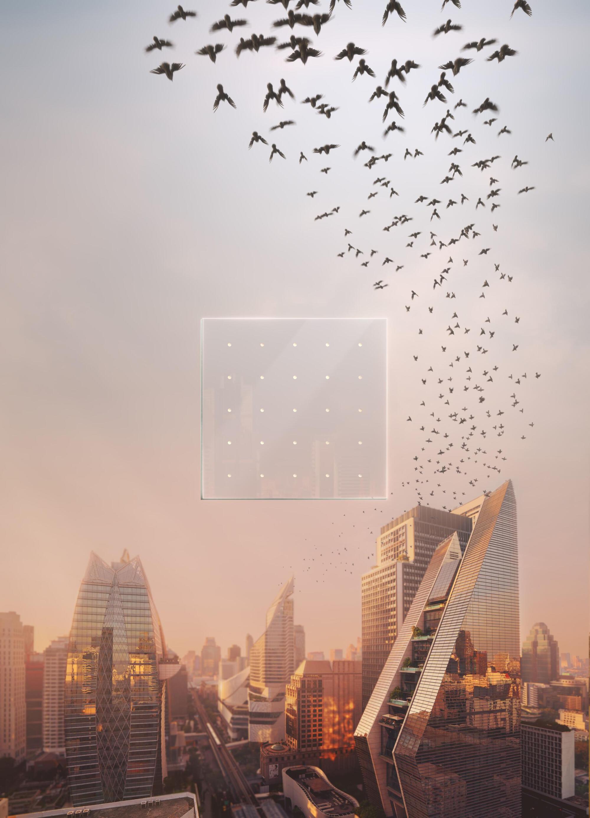 Gallery of Making Buildings Bird-Friendly with Safety Glass - 3